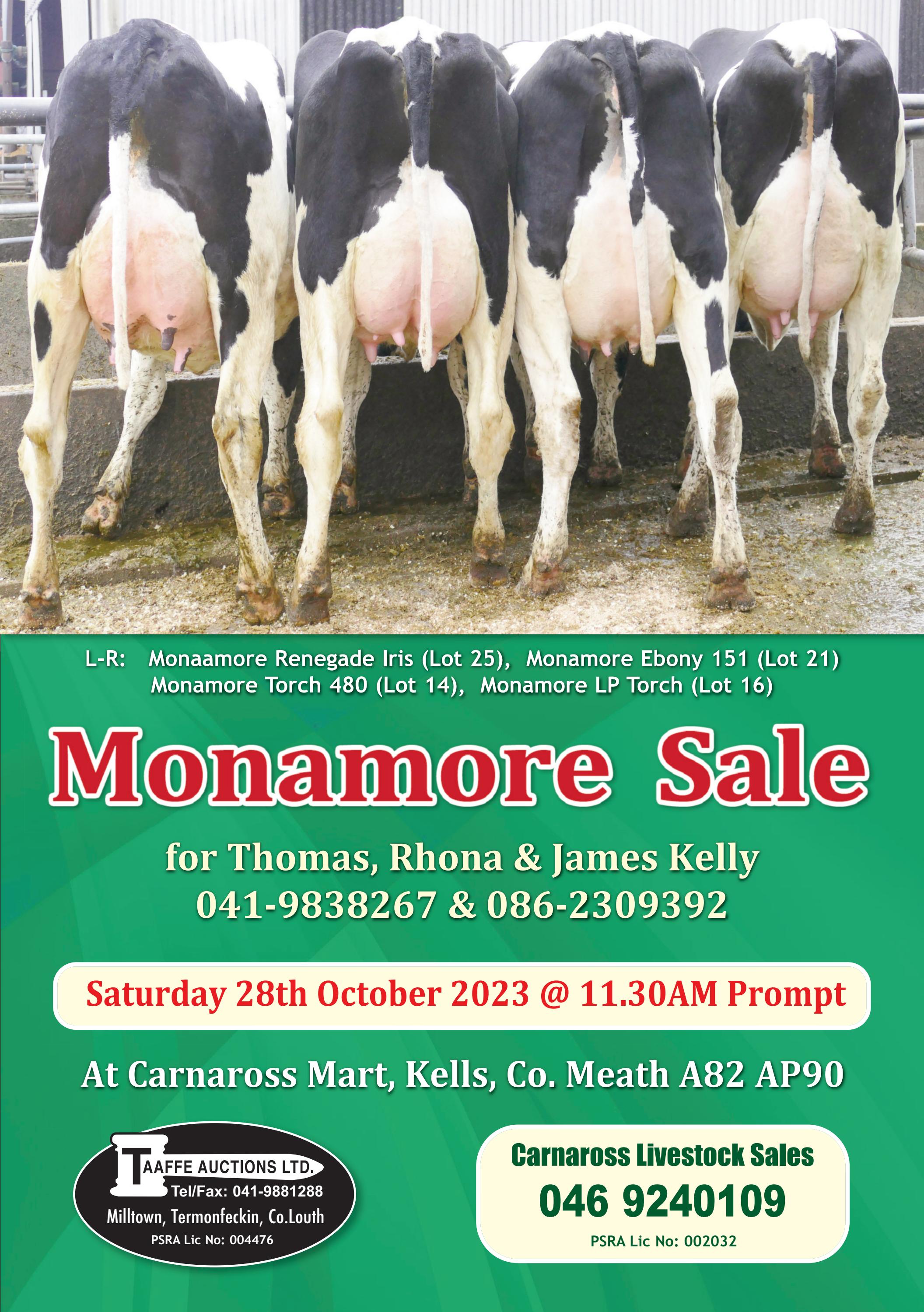 MONAMORE SALE by TAAFFE AUCTIONS LTD - Issuu