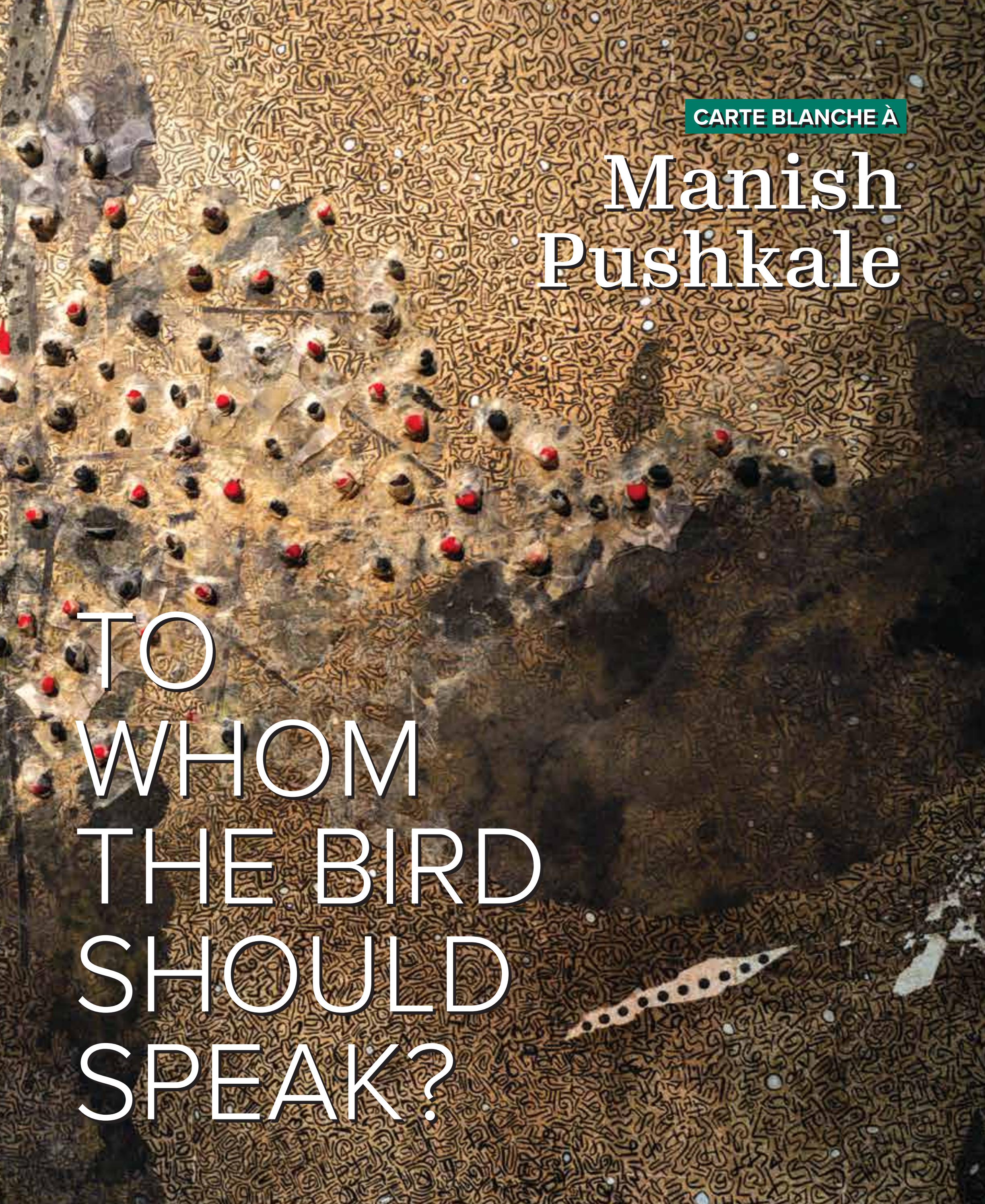 Carte Blanche à Manish Pushkale by Mapin Publishing - Issuu