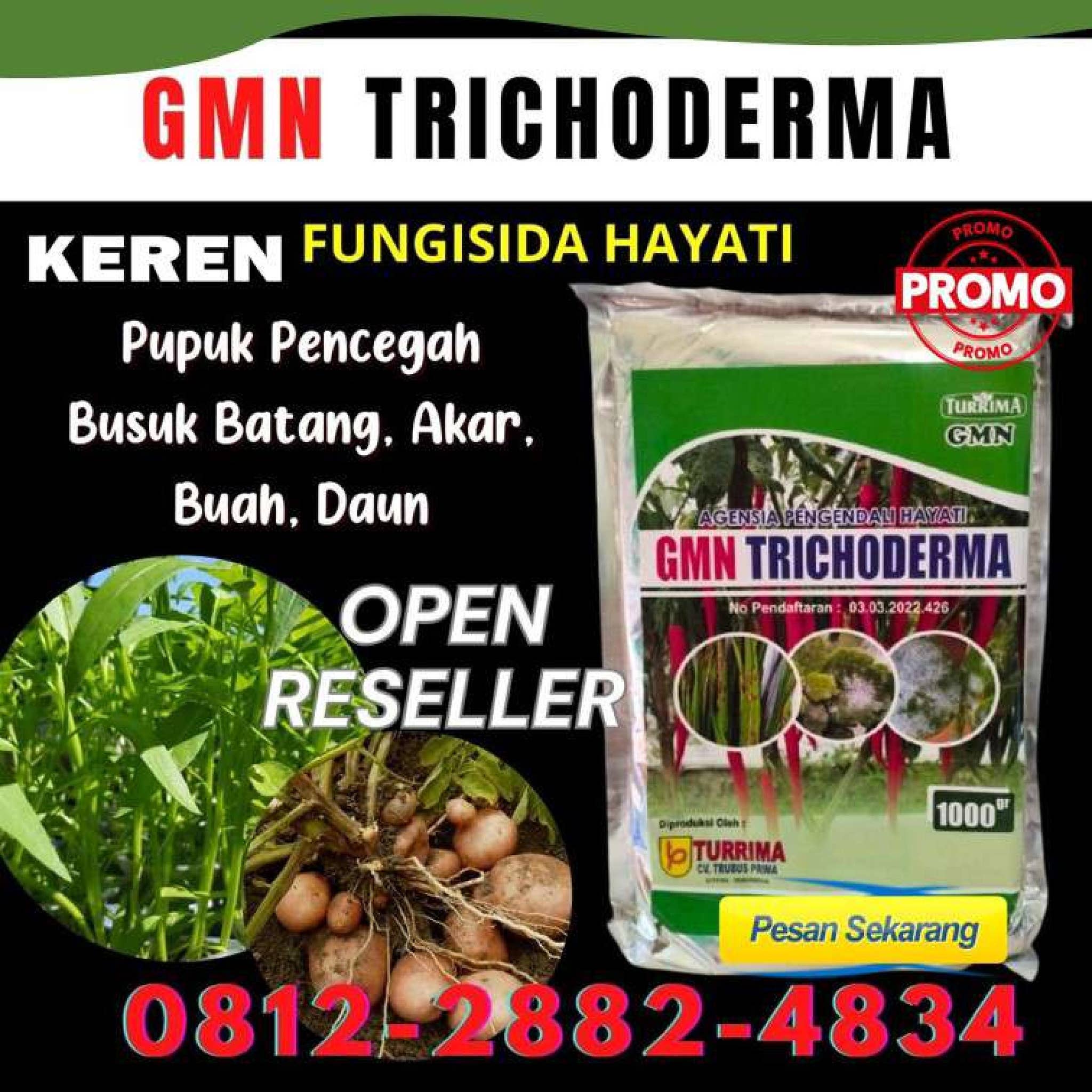 TERBAIK! 0812-2882-4834 Jual Trichoderma Untuk Cabe Gunung Sugih ...