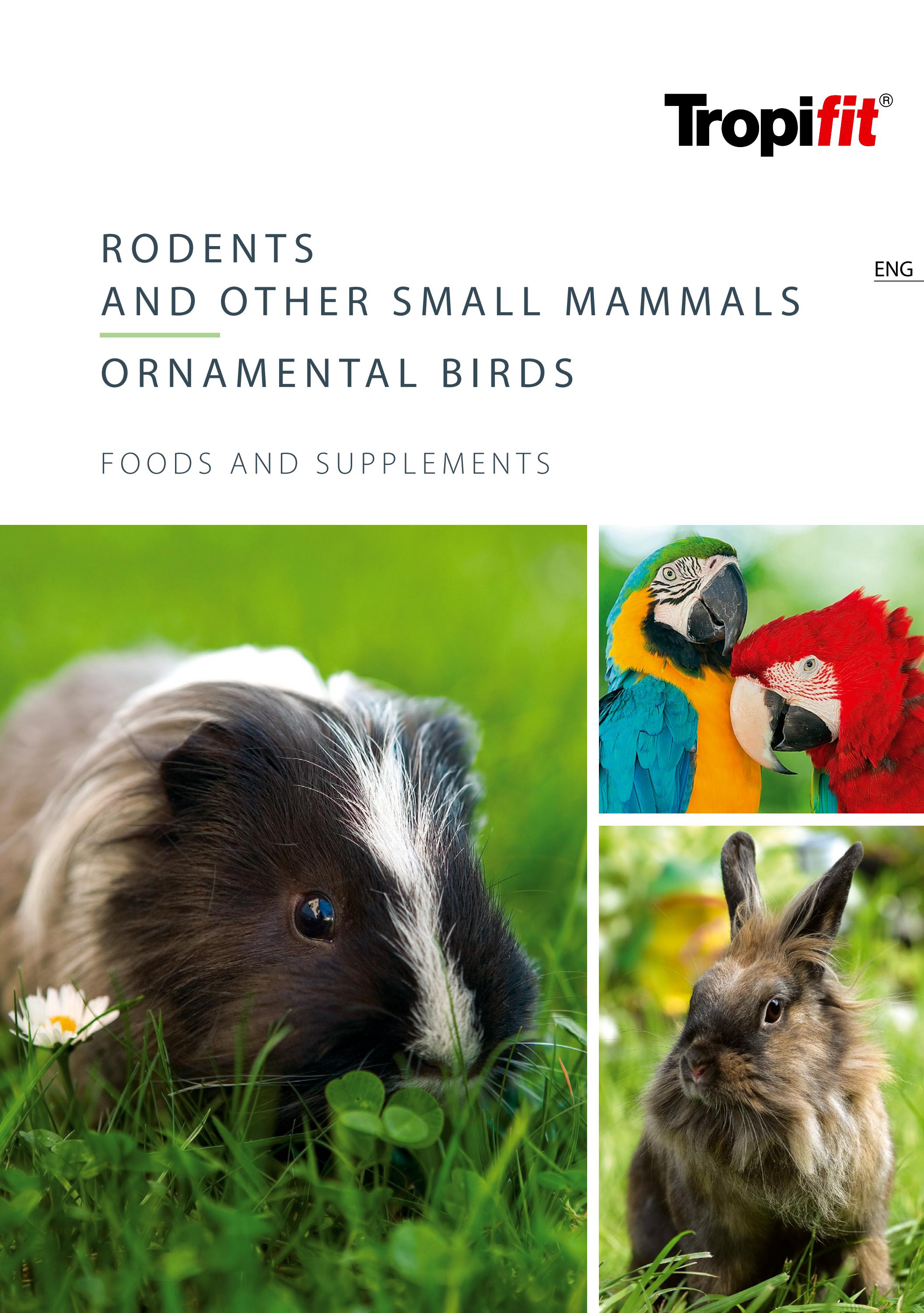 Rodents and birds leaflet by Tropical Tadeusz Ogrodnik - Issuu