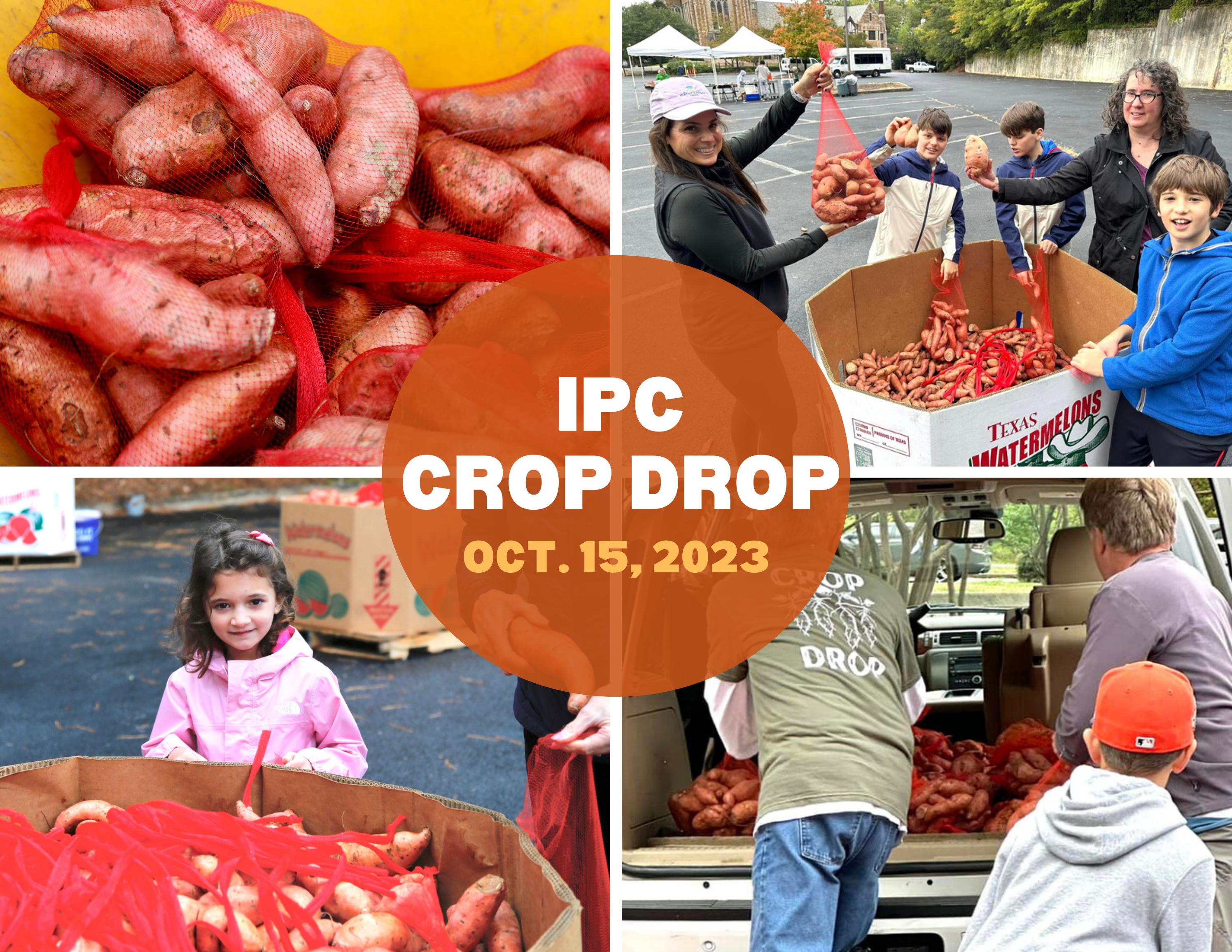Crop Drop | 2023 Photo Book by IPCBirmingham - Issuu