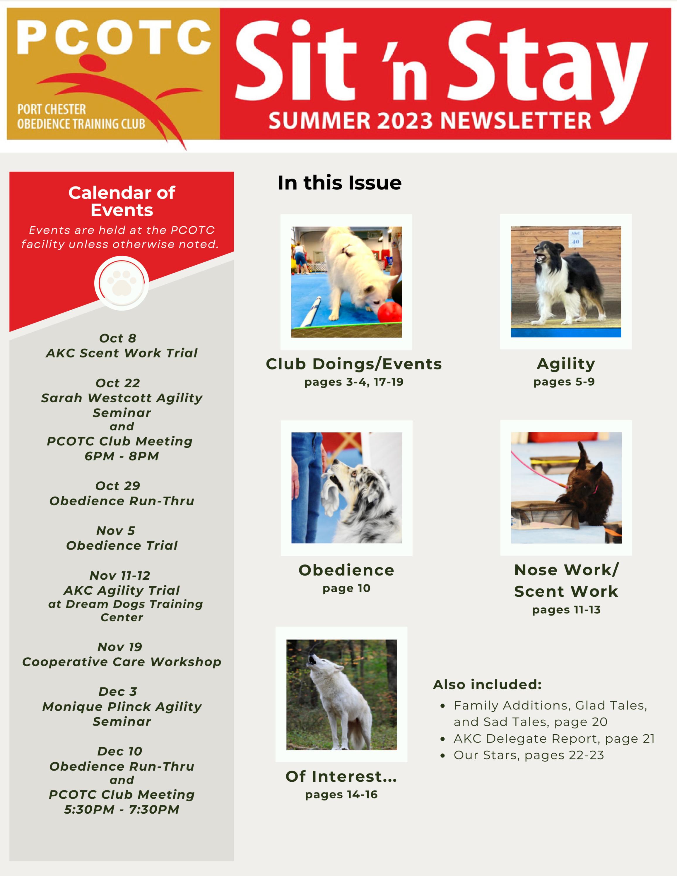 PCTOC Design Draft by Stroke Maven - Issuu