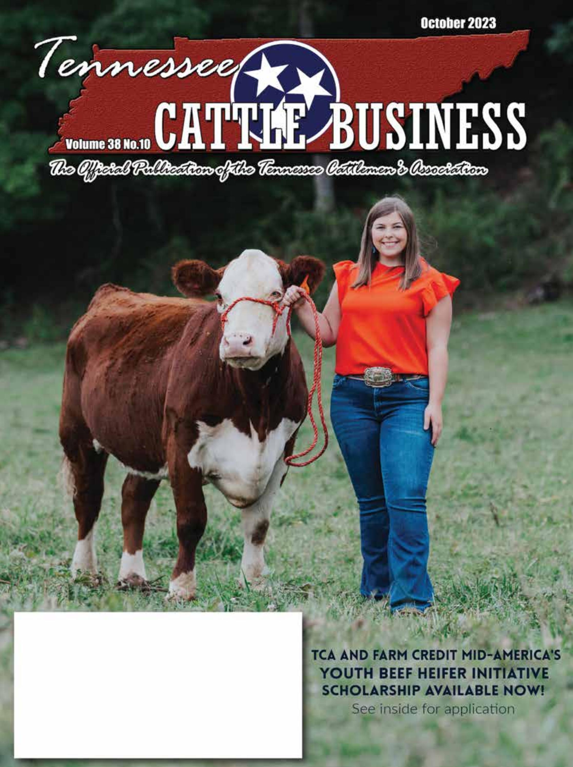 Tennessee Cattle Business - October 2023 by Tennessee Cattle Business ...