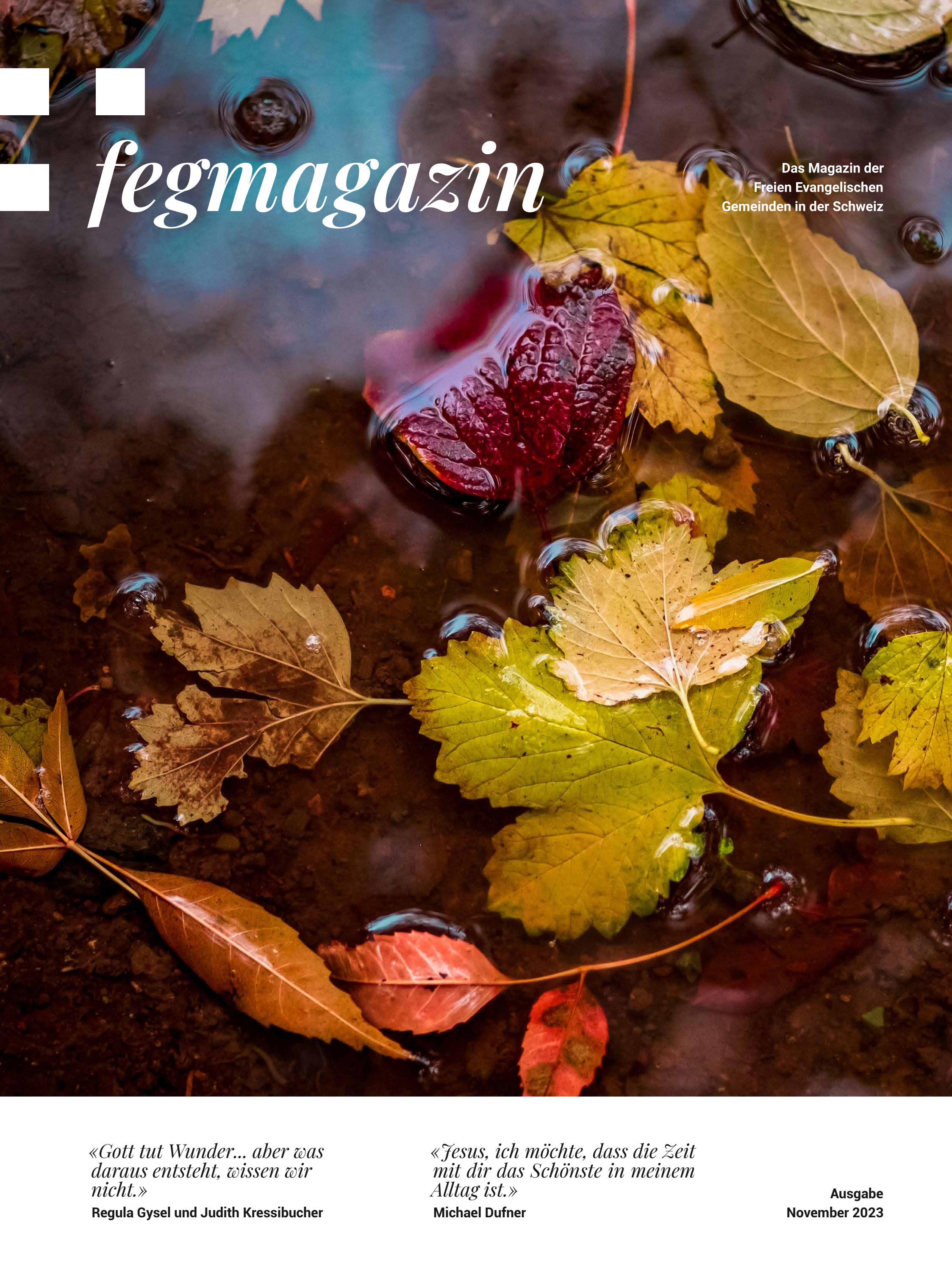 FEG Magazin November 2023 by FEG Schweiz - Issuu