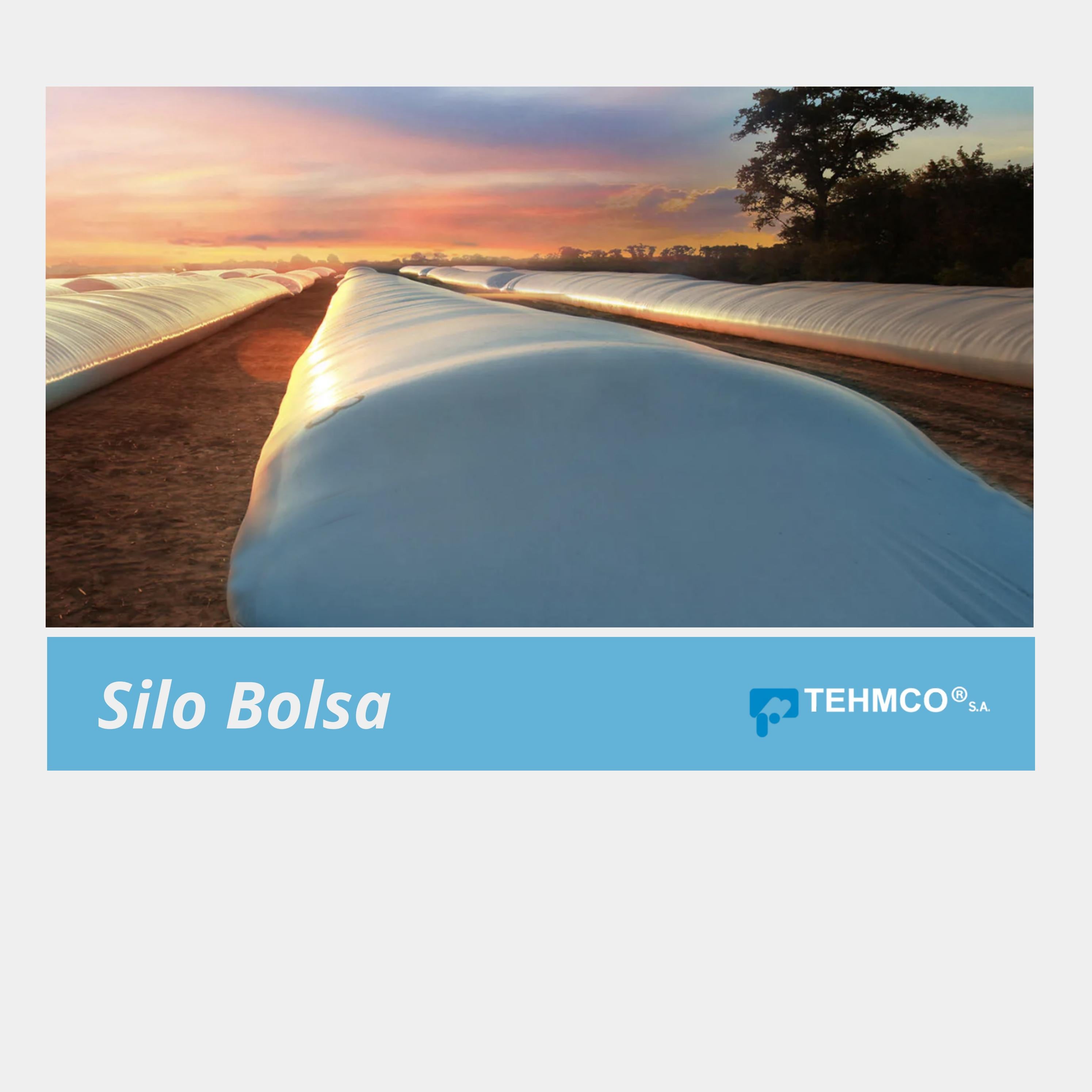 Silo Bolsa by Hector Antonio Parra Soler - Issuu