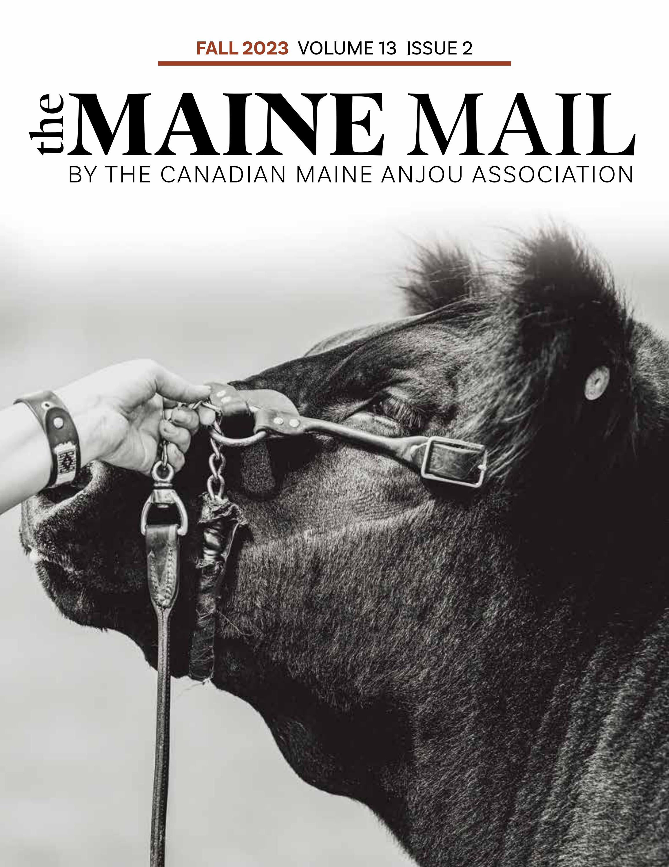 The Maine Mail Fall 2023 by compasscreativedesigns - Issuu