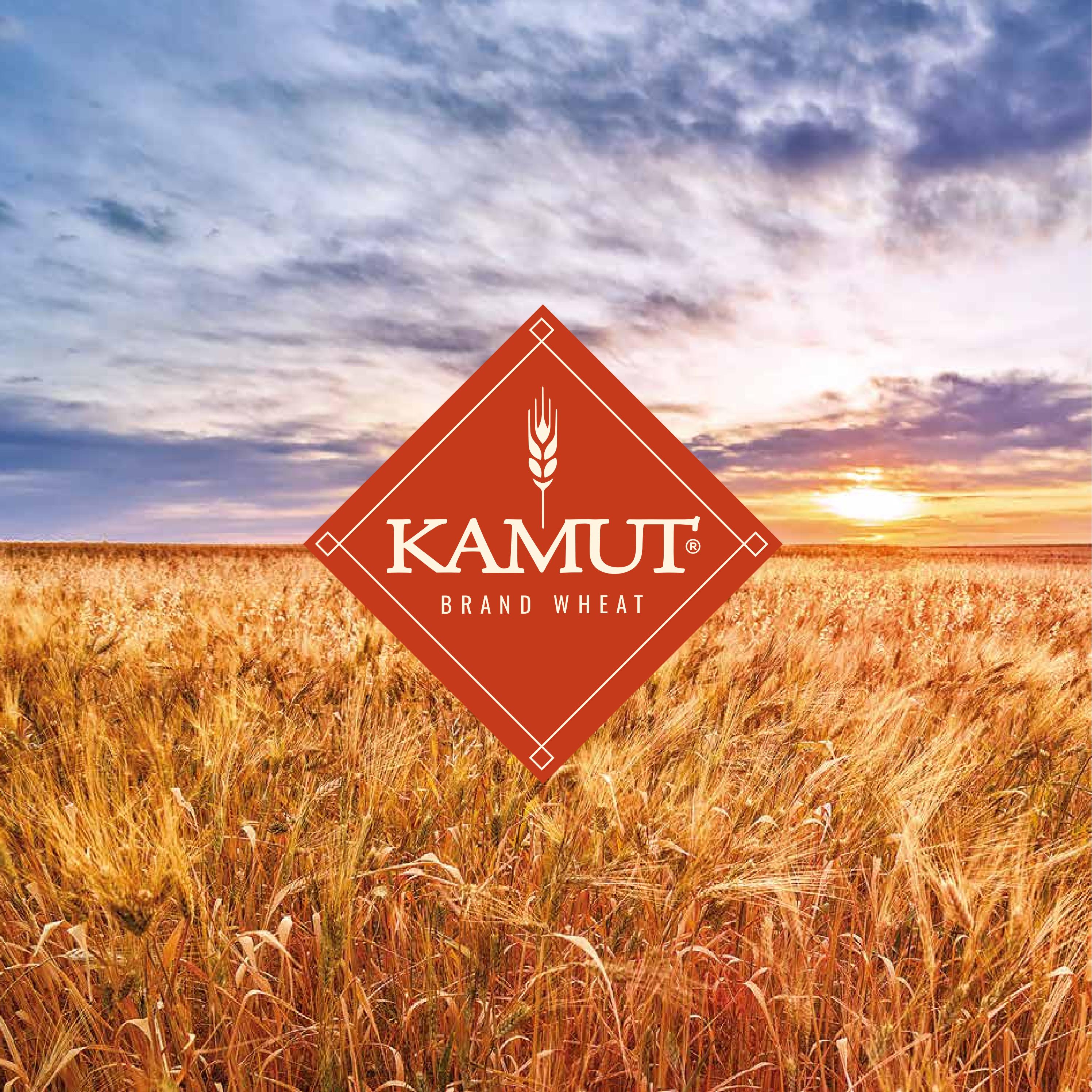 KAMUT Brand Wheat - Info Folder (ES) by kamutbrand - Issuu