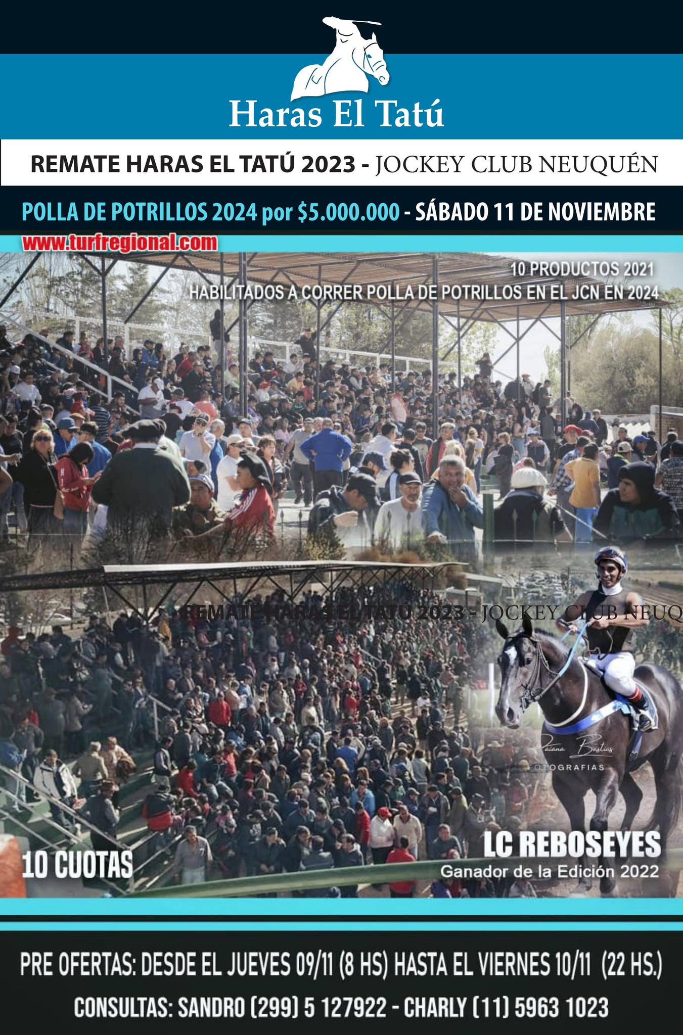 Haras El Tatu - Noviembre 2023 by Diego Yankelevich - Issuu