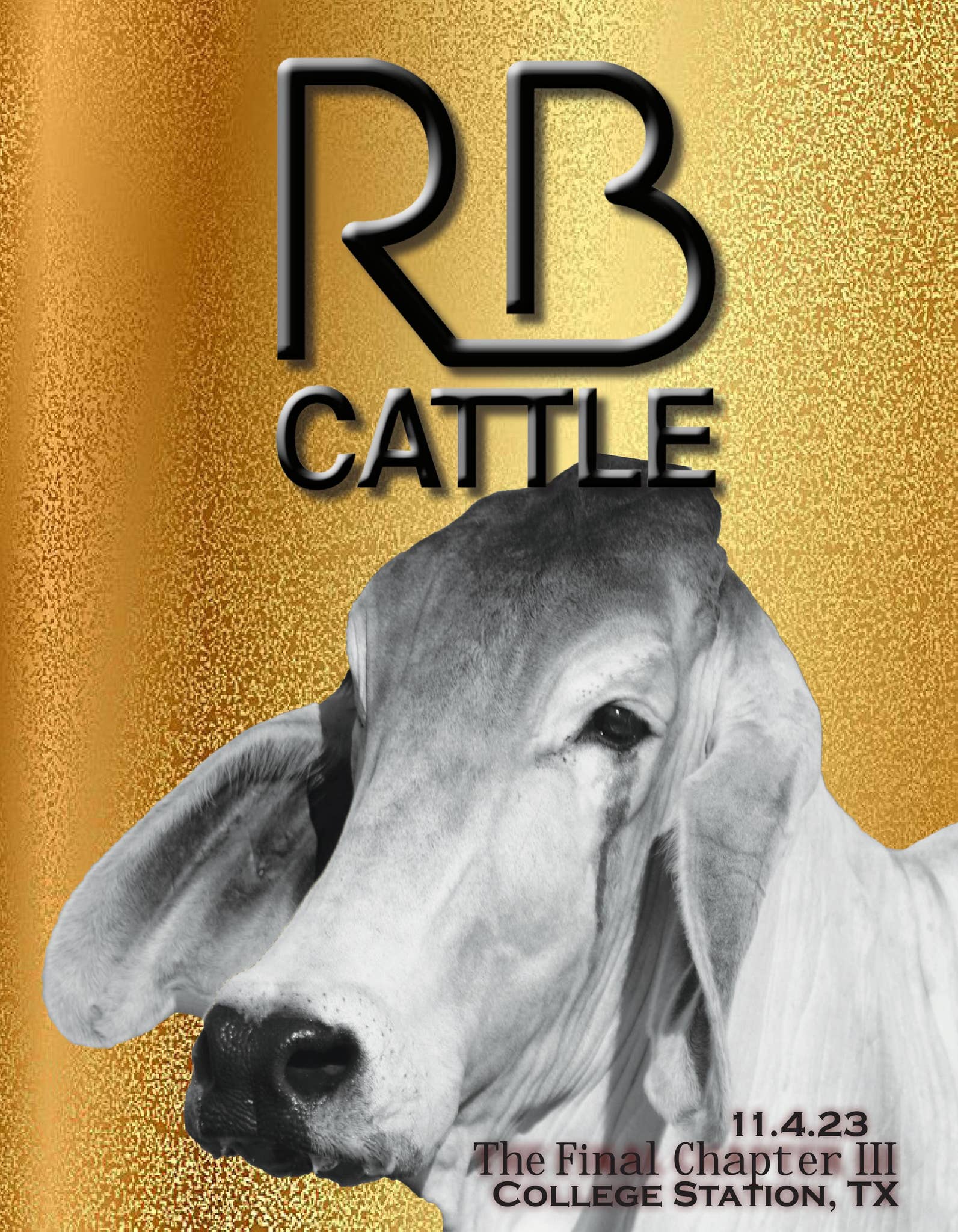RB Cattle "The Final Chapter Vol. 3 Dispersal Sale by Cattle In Motion ...