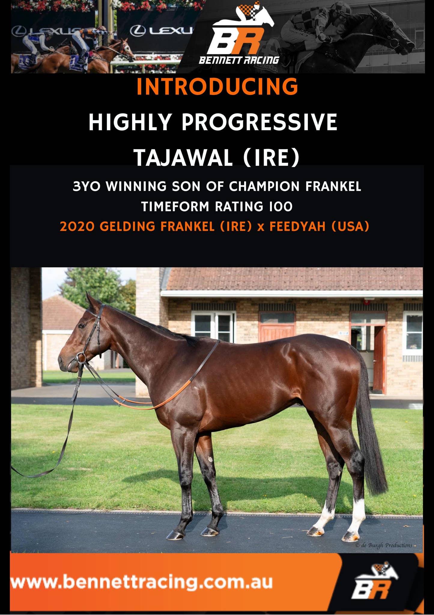 INTRODUCING TAJAWAL by bennettracing - Issuu