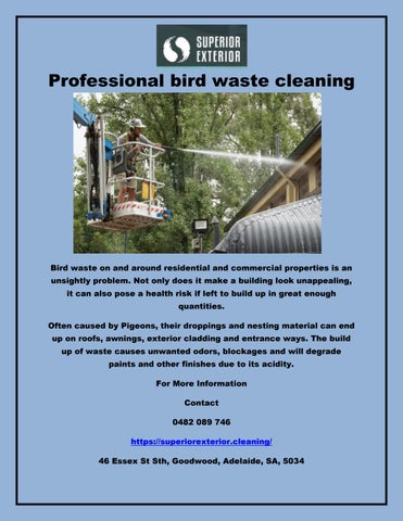 professional bird waste cleaning by superior - Issuu