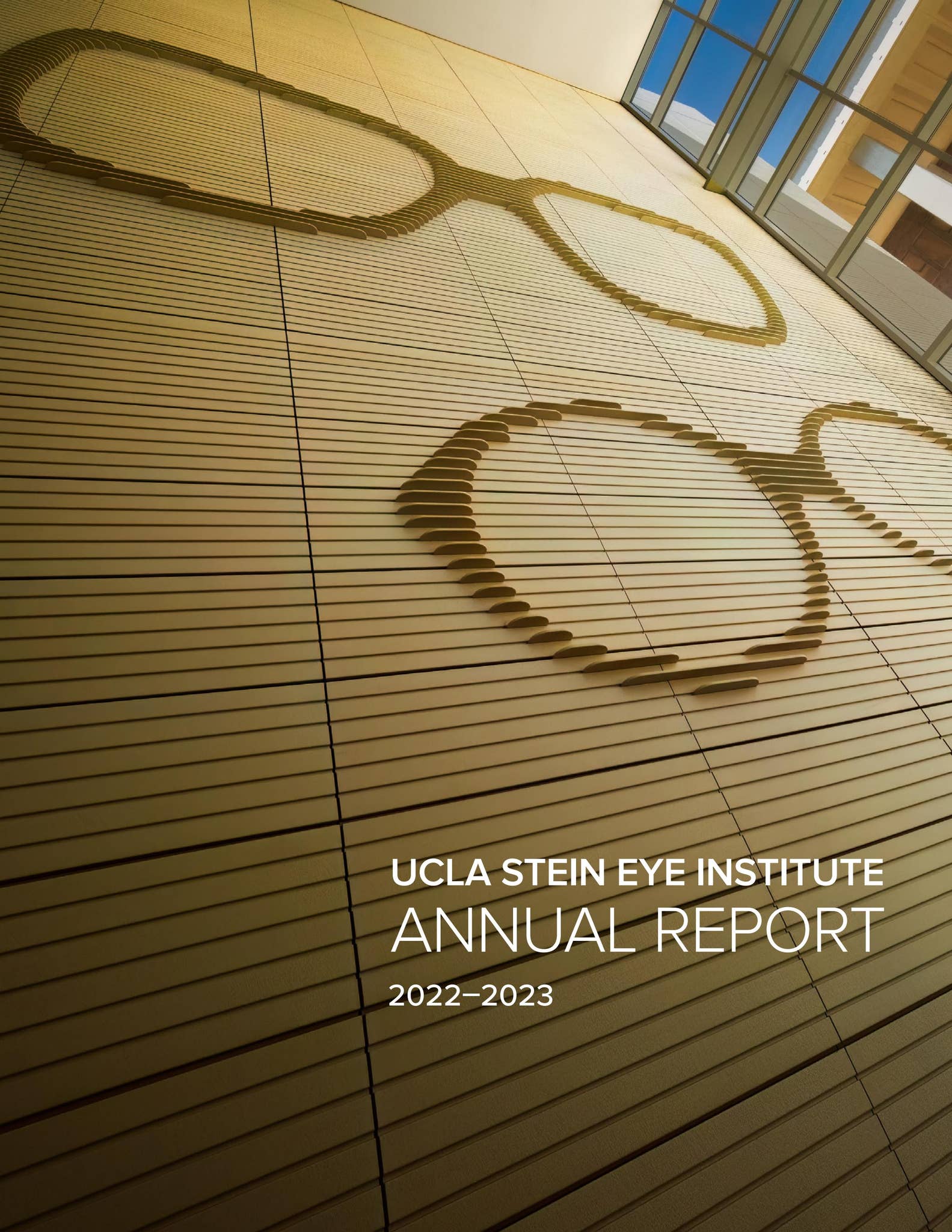 UCLA Stein Eye Institute Annual Report 2022-2023 by www.EyeCiteEditing ...