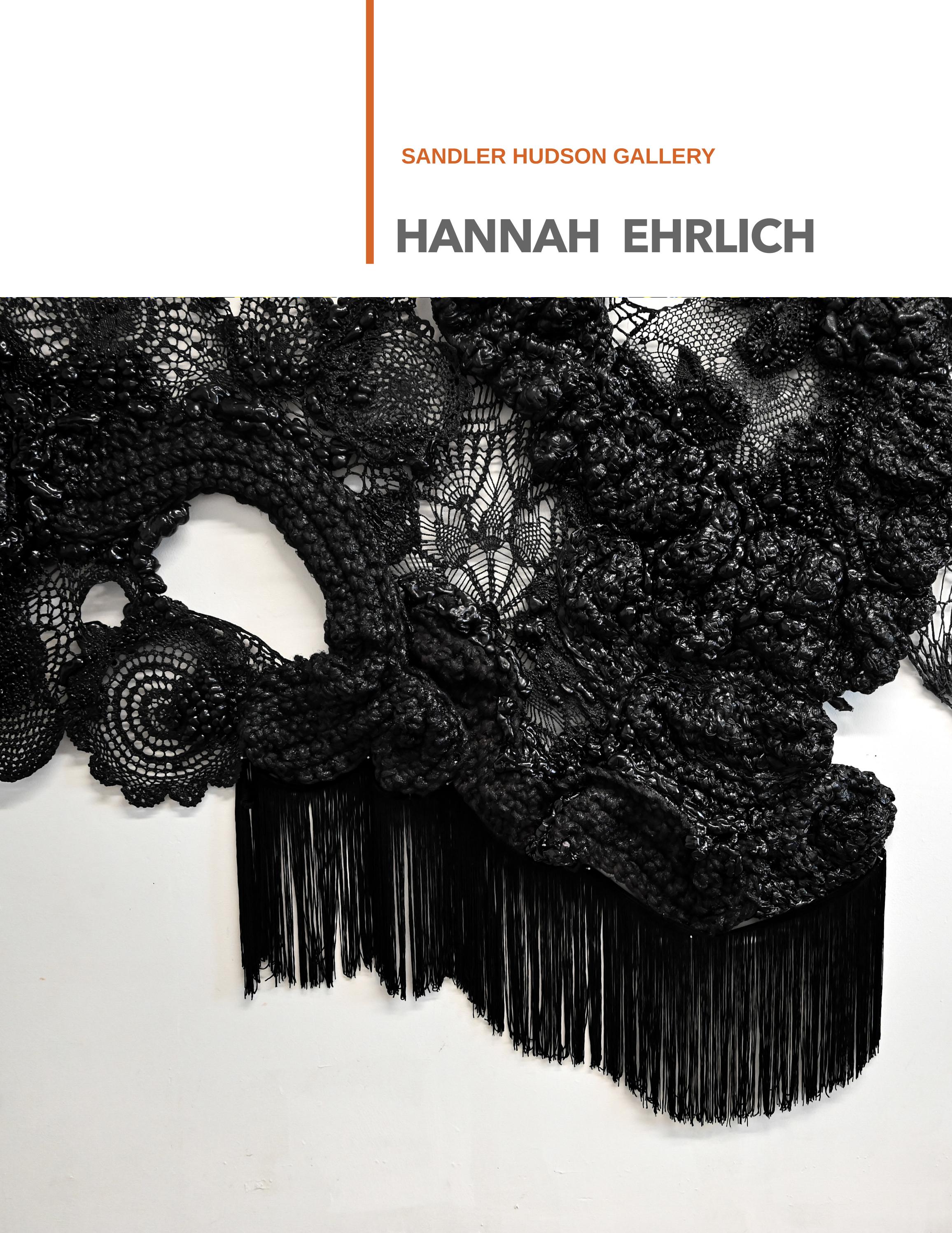 HANNAH EHRLICH: DECOMPOSITION by Sandler Hudson Gallery Manager - Issuu