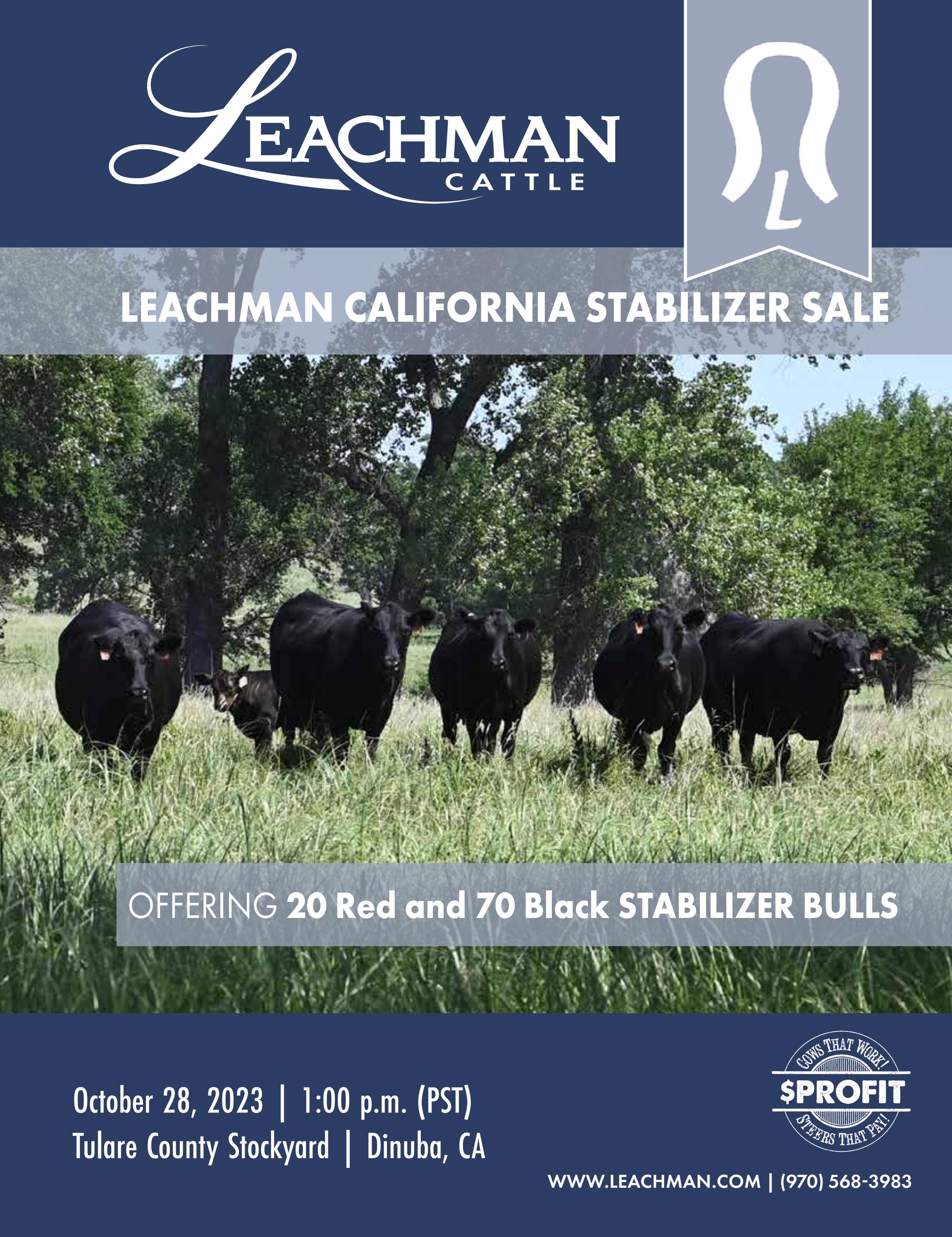 2023 California Stabilizer Sale by Leachman - Issuu