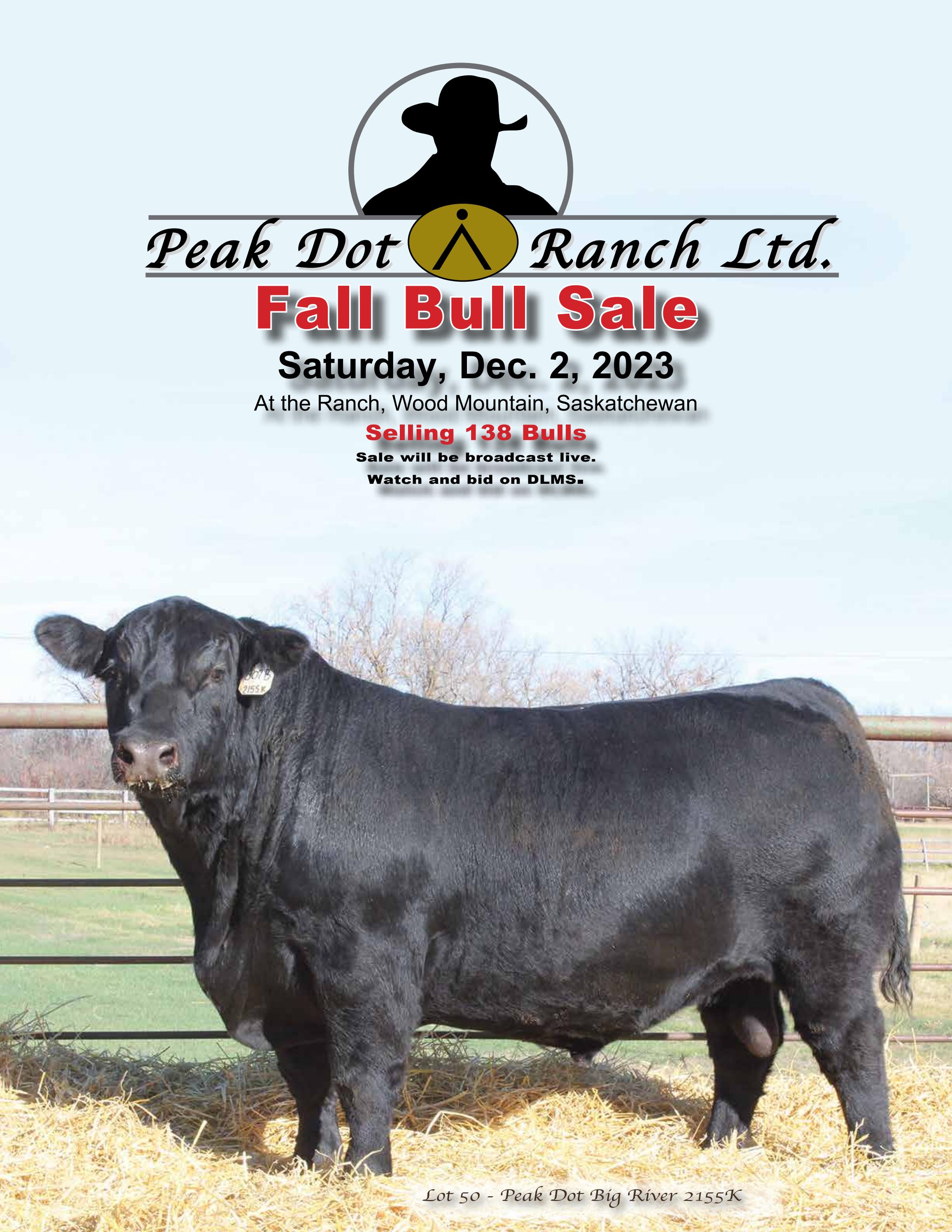 Peak Dot Ranch Fall Bull Sale 2023 by Everything Angus - Issuu