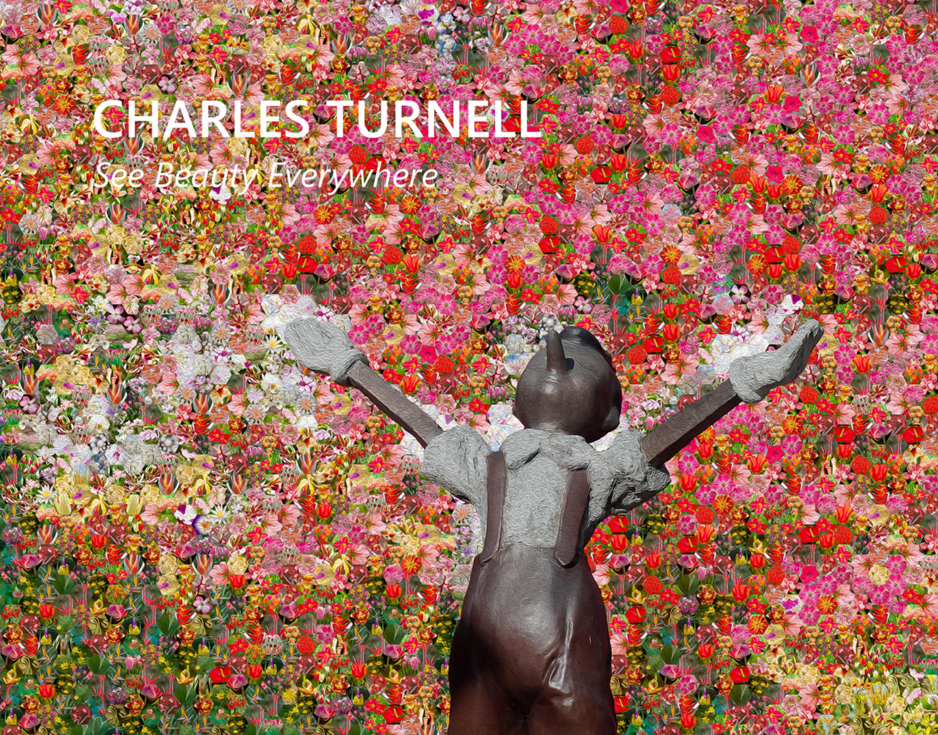 Charles R. Turnell: See Beauty Everywhere by Bruno David Gallery - Issuu