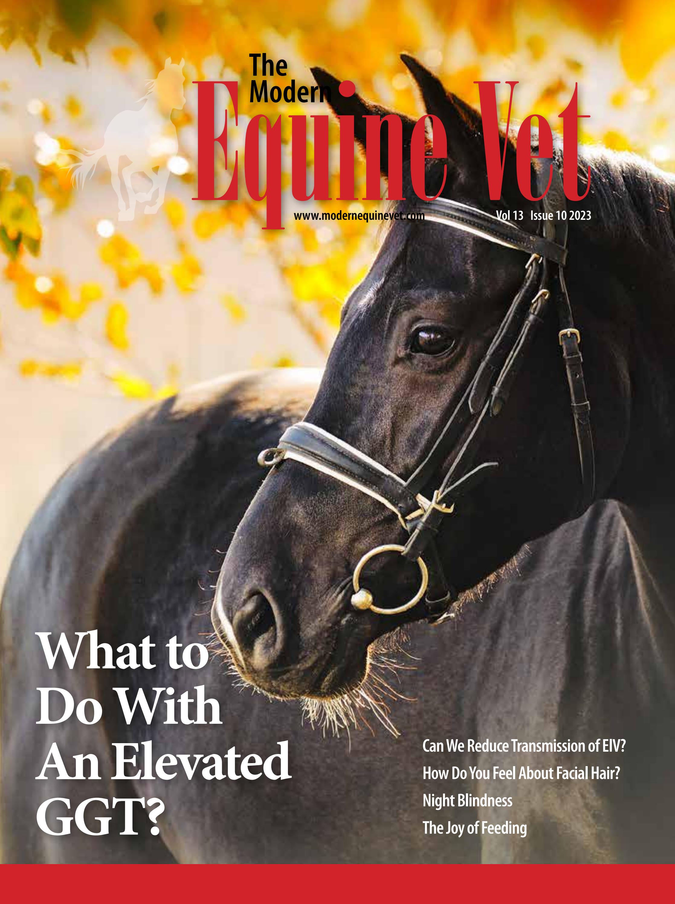 The Modern Equine Vet - October 2023 by The Modern Equine Vet - Issuu