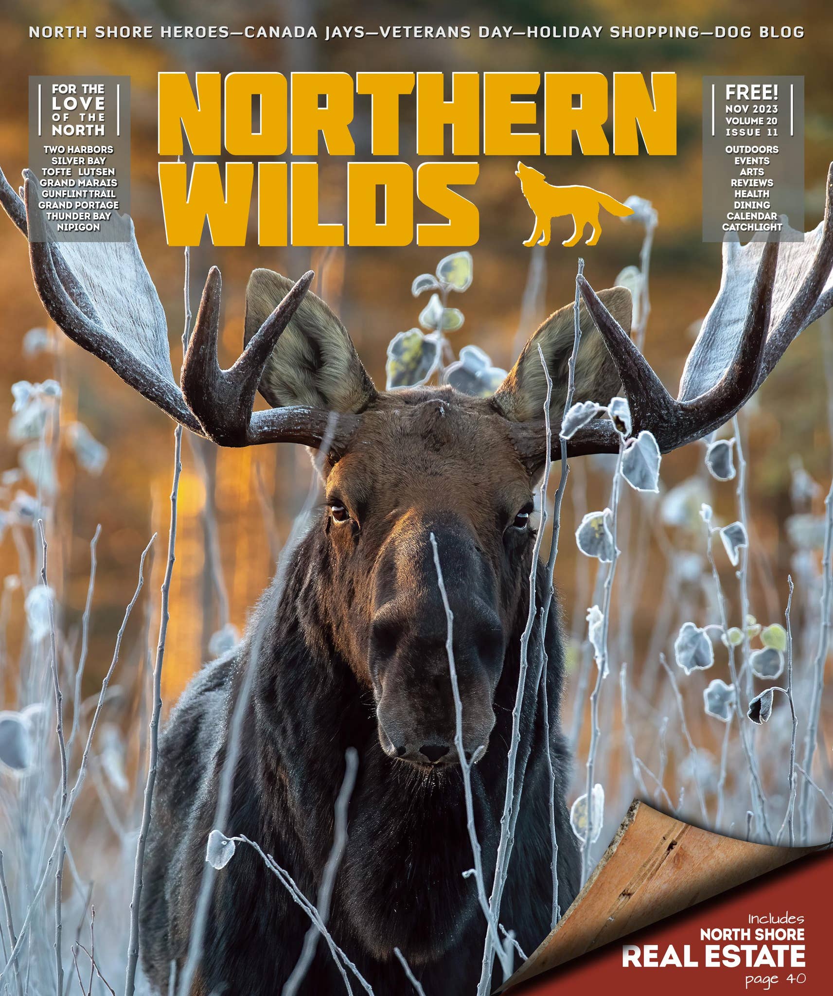Northern Wilds November 2023 by Northern Wilds Magazine - Issuu