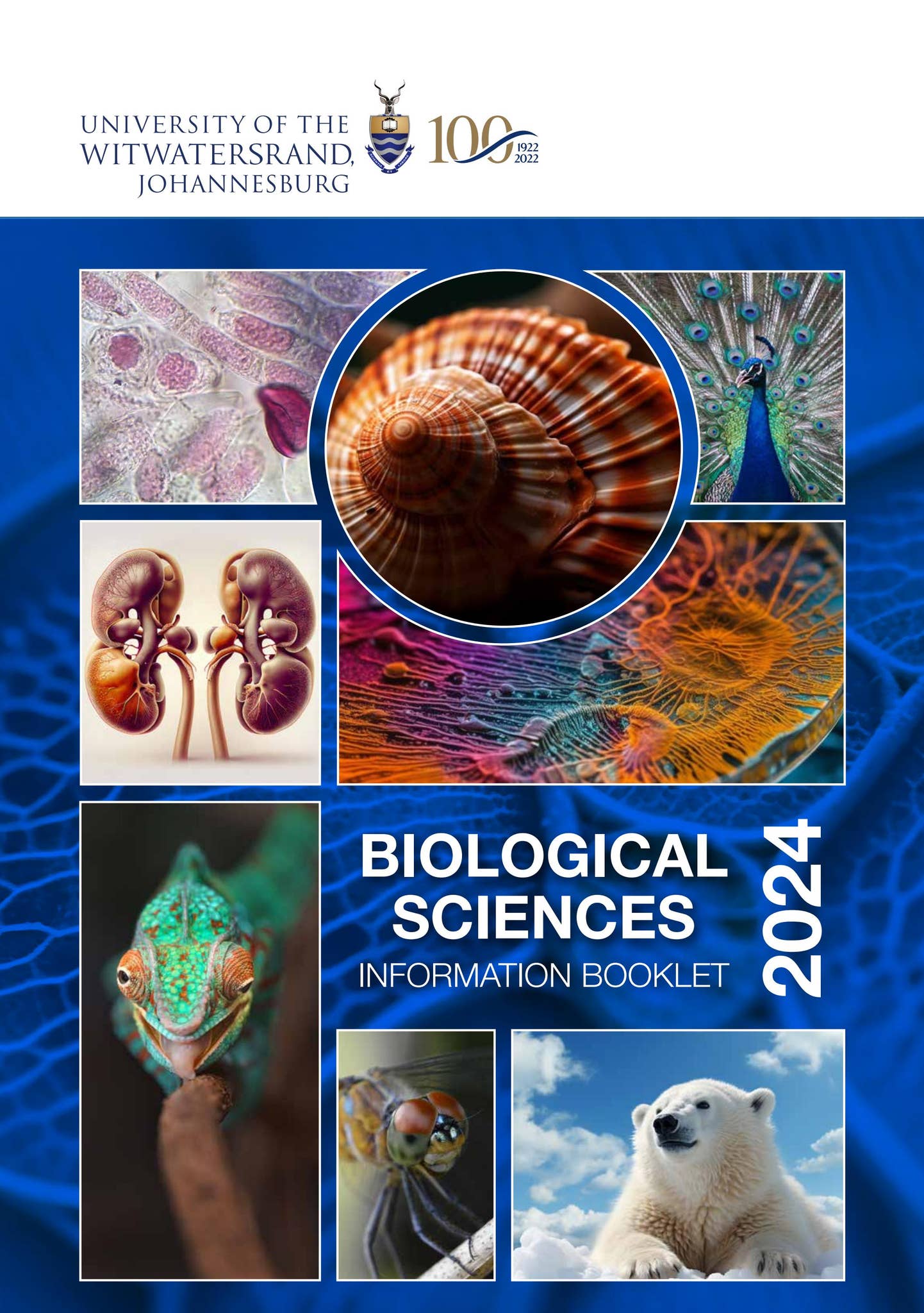 Wits Biological Sciences by witsmarketing - Issuu