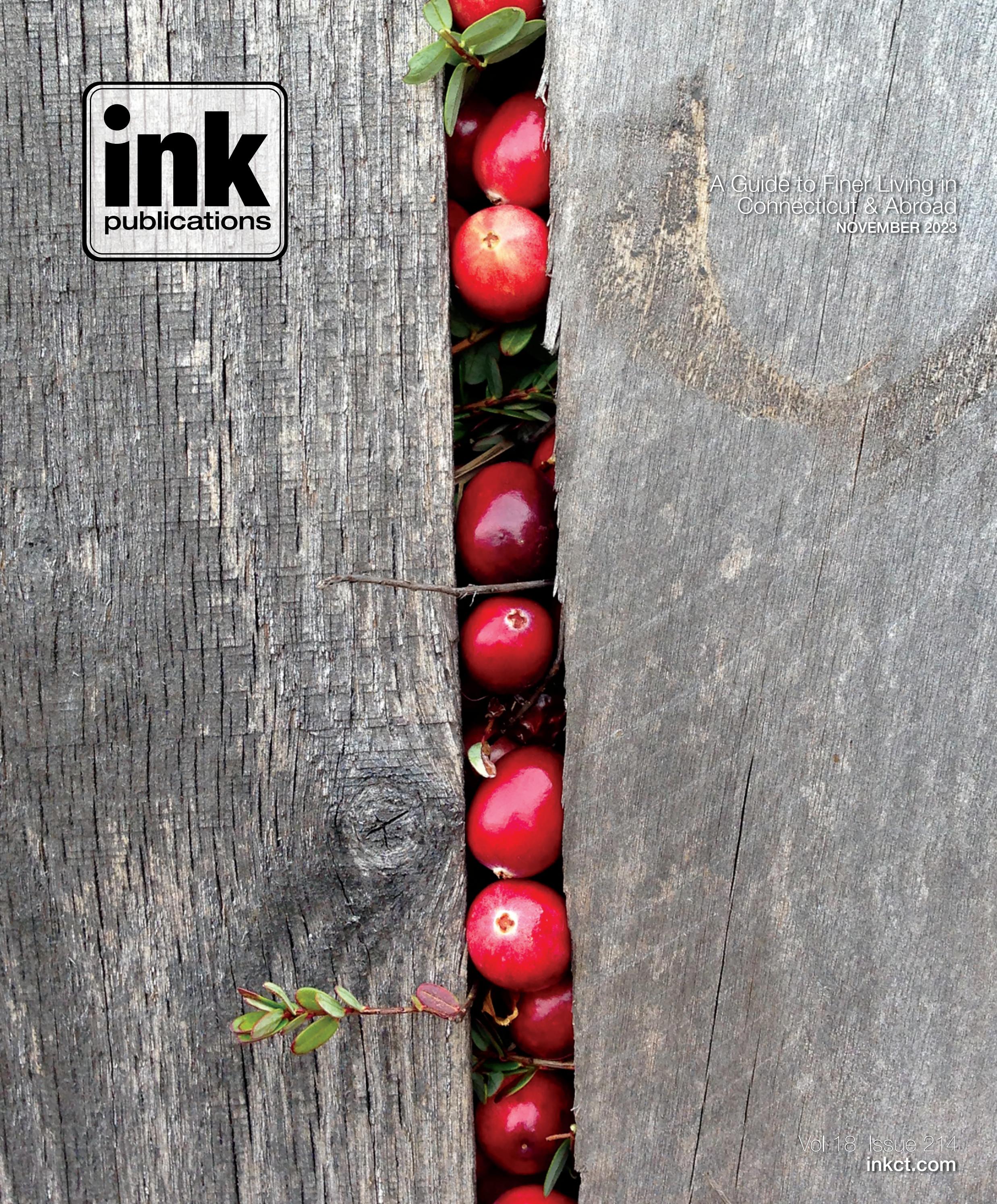 INK MAGAZINE - NOVEMBER 2023 by Ink Publications - Issuu