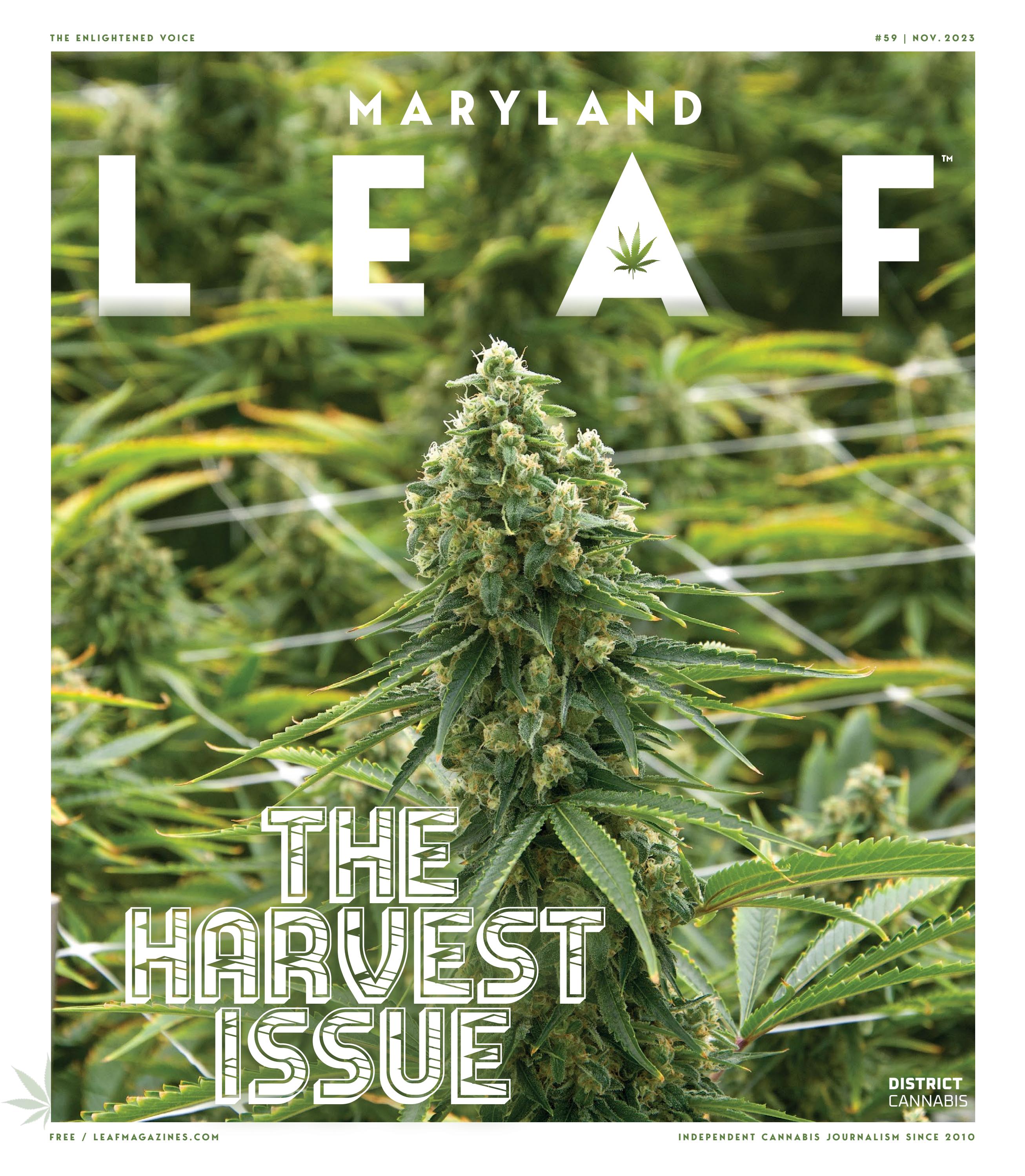 Nov. 2023 - Maryland Leaf by Northwest Leaf / Oregon Leaf / Alaska Leaf ...