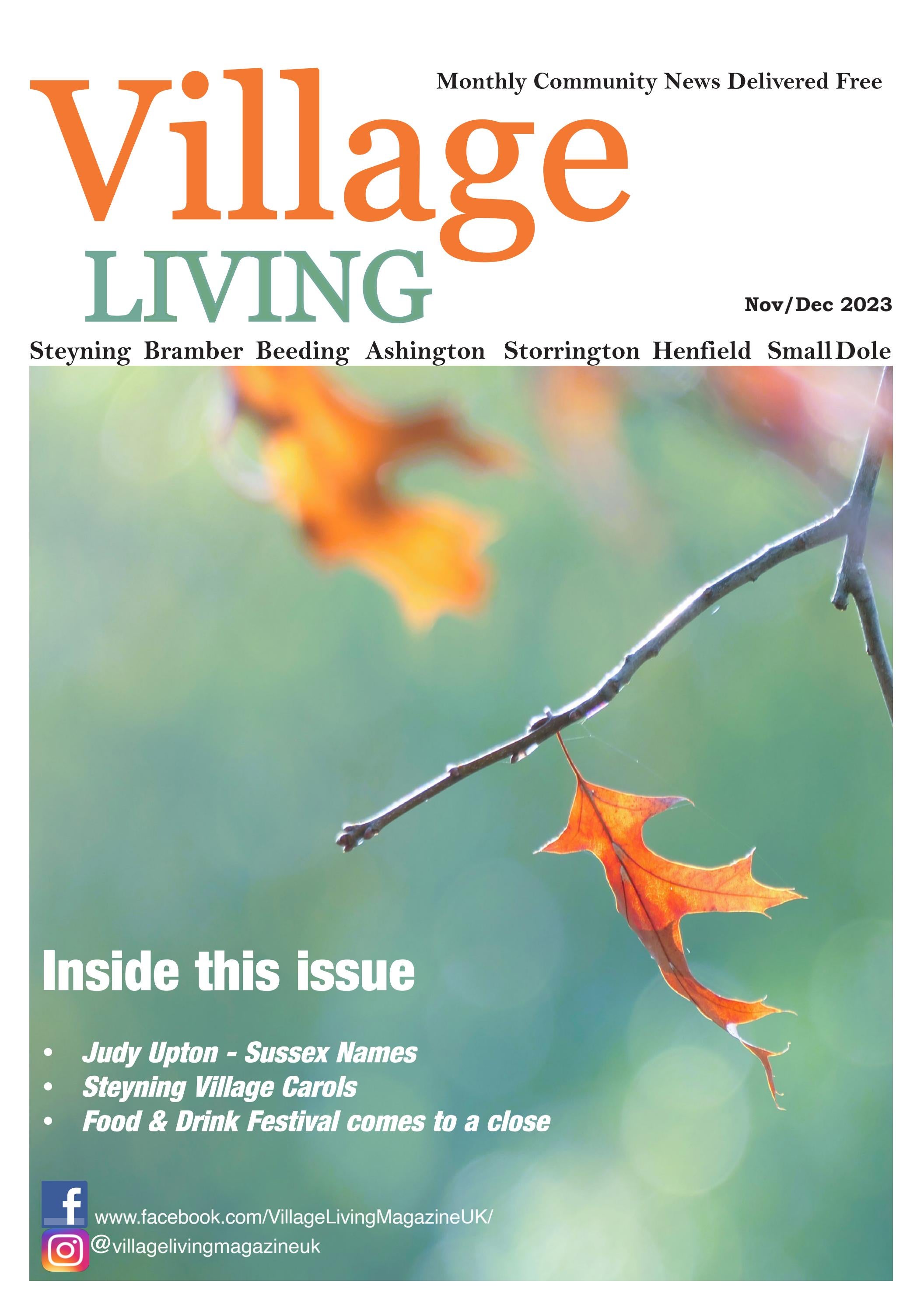 The Village Living Magazine November 2023 by angela mcenery - Issuu