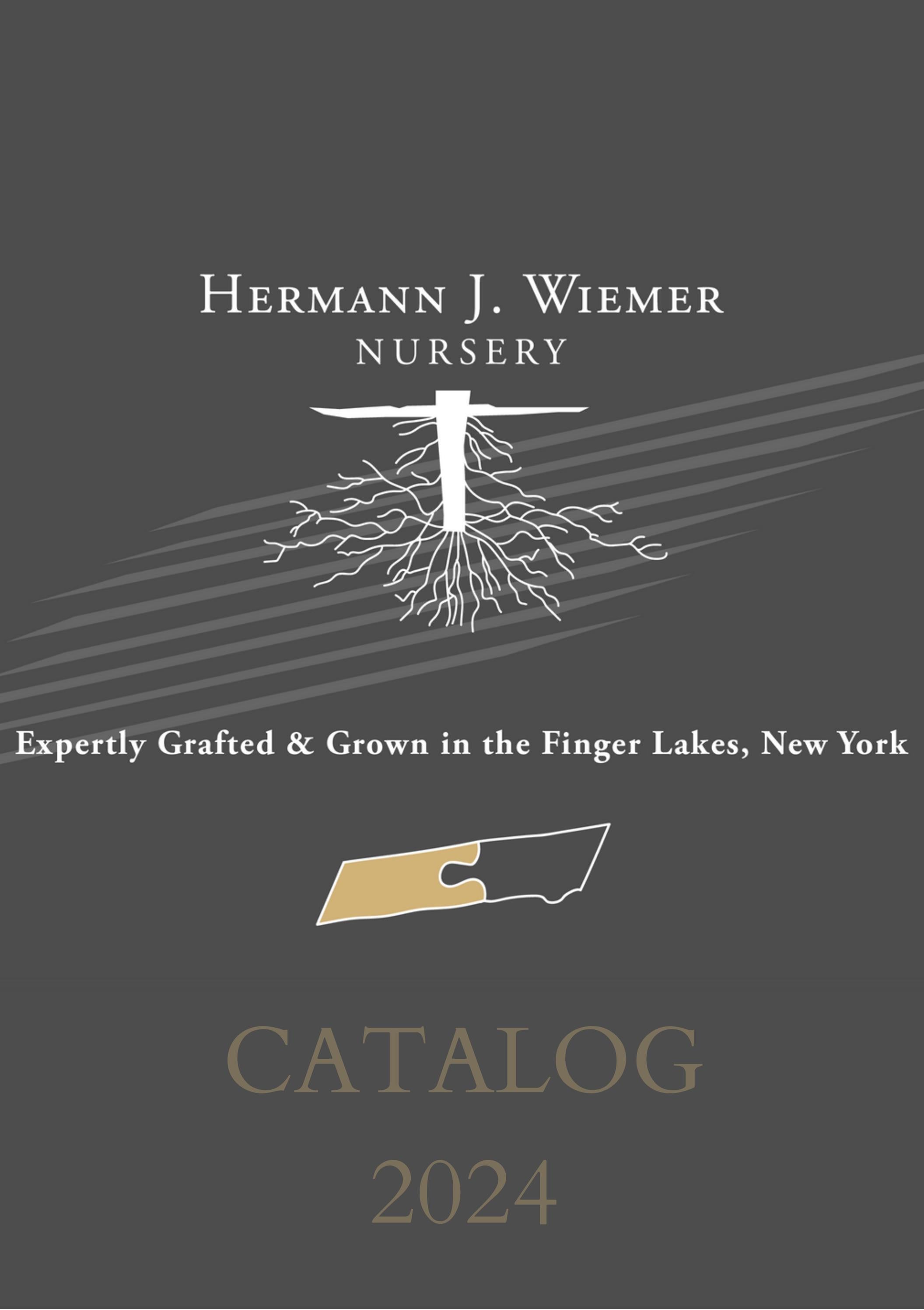 HJW Nursery Catalog 2024 by hermannjwiemernursery - Issuu