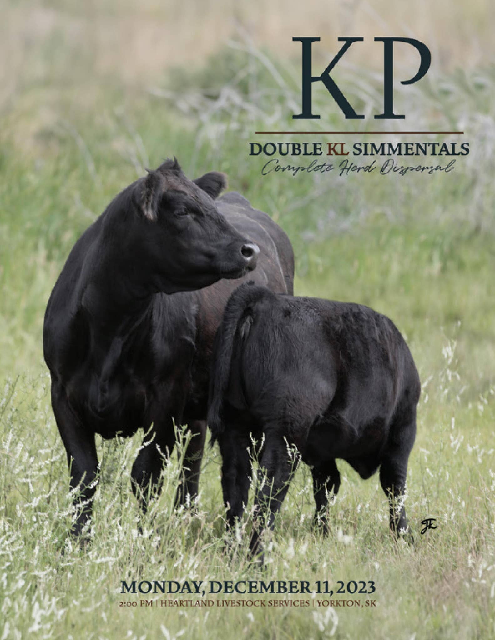 DOUBLE KL SIMMENTALS COMPLETE DISPERSAL by Today's Publishing Inc. - Issuu