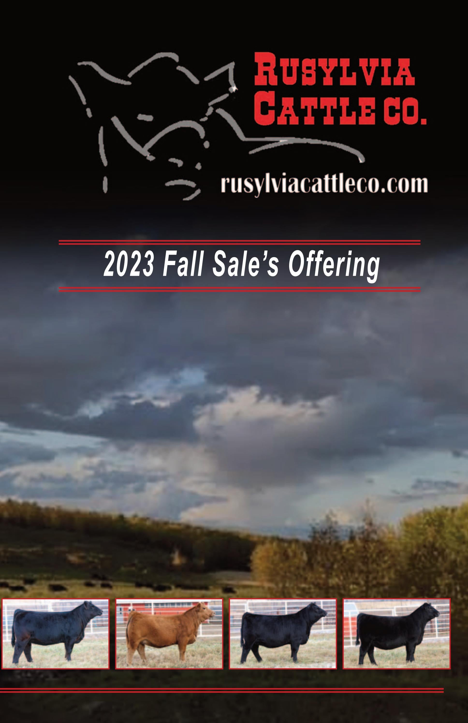 Rusylvia Cattle Co 2023 Fall Sale's Offering Flyer by DLMS-Cattlevids ...