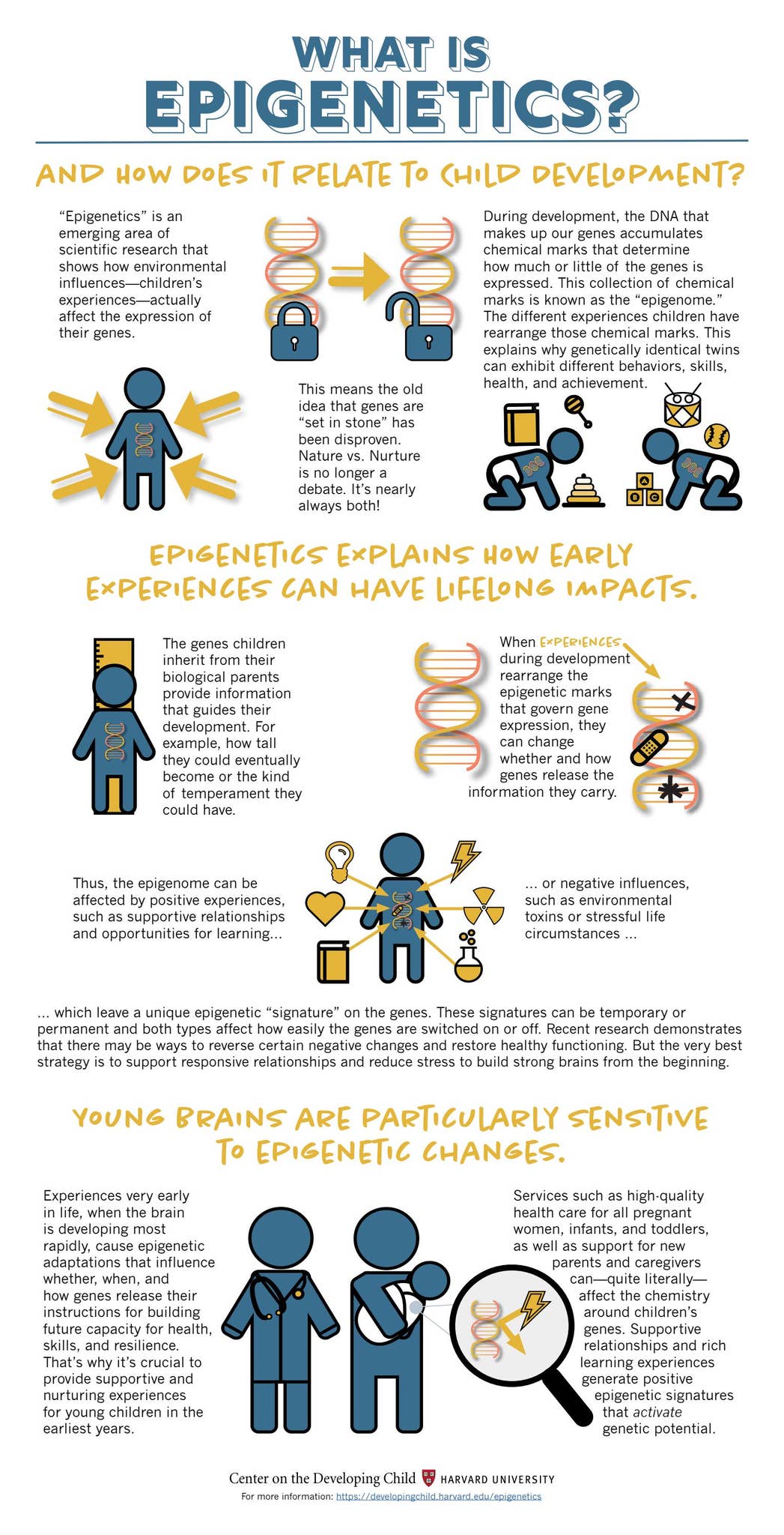 What is Epigenetics? by Harvard's Center on the Developing Child by ...