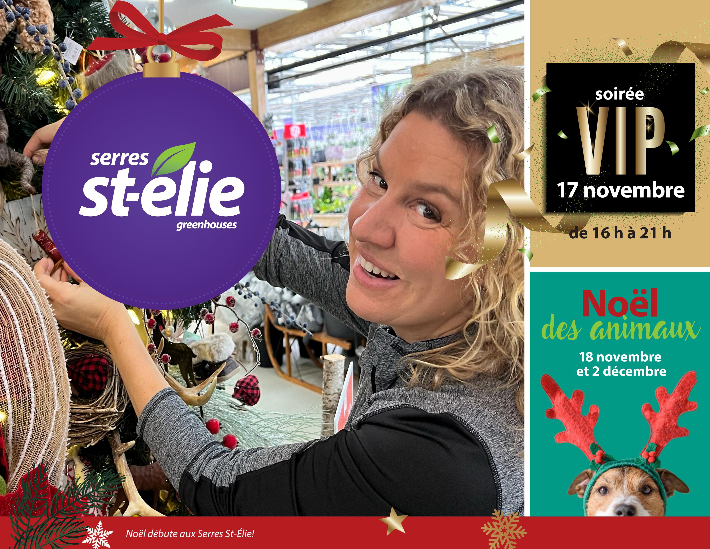 Serres St-Élie_Catalogue de Noël by Agence Pixi - Issuu