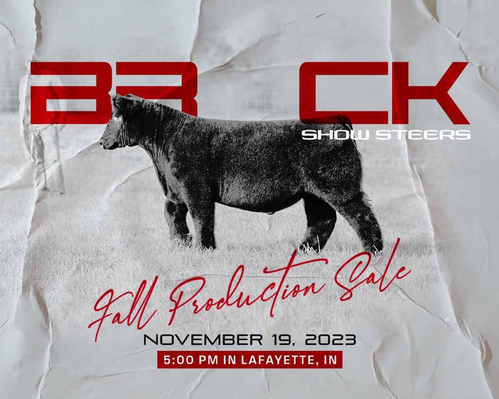 Brock Show Steers Fall Production Sale by Rudy Pooch - Issuu