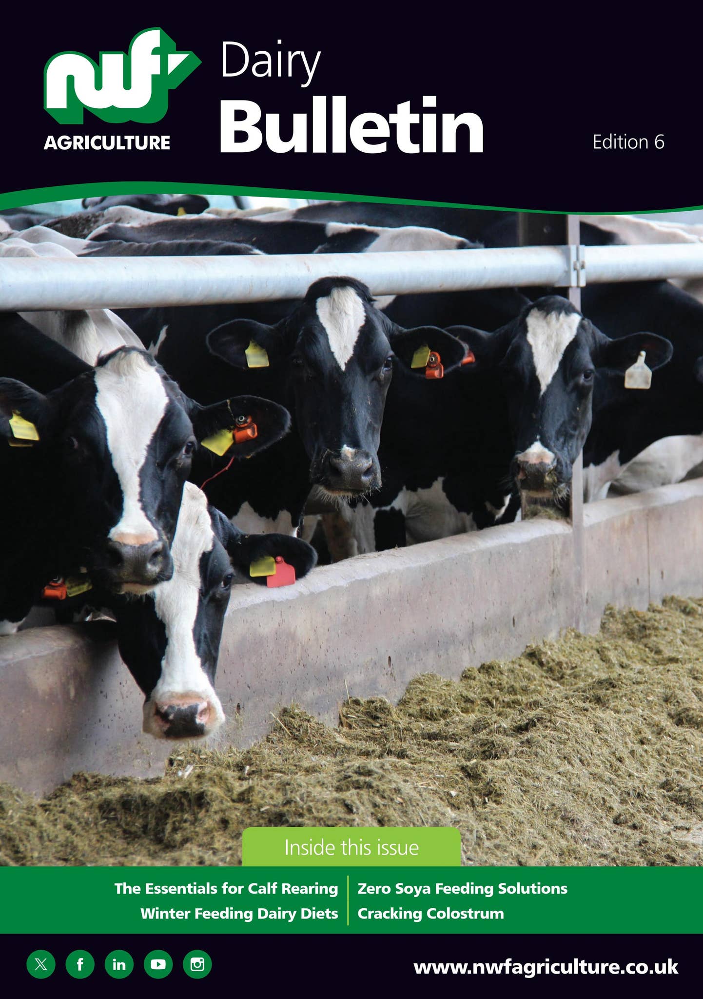 NWF Agriculture Dairy Bulletin Edition 6 by NWFAgriculture - Issuu