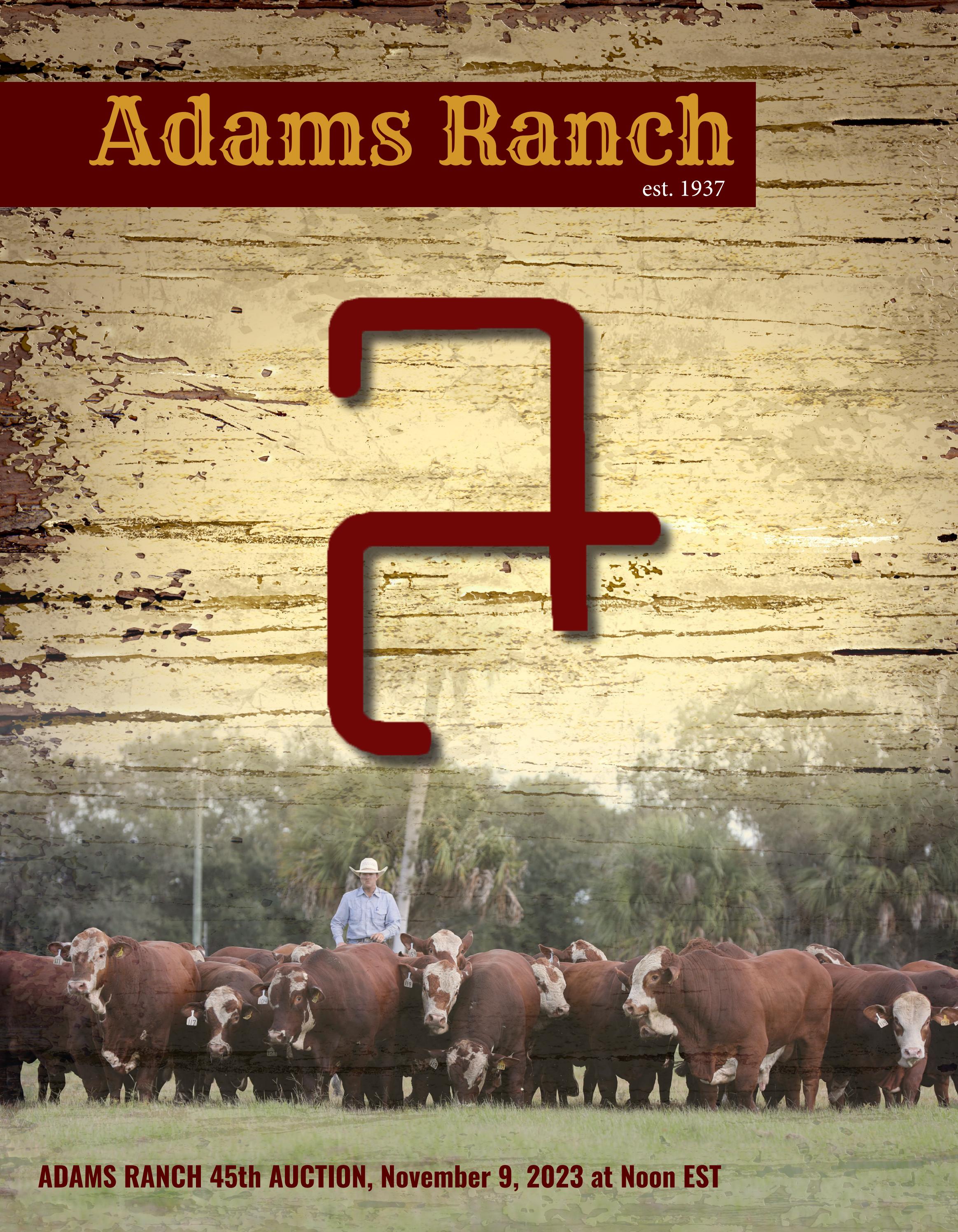 ADAMS RANCH 45th AUCTION - ANNUAL BULL AND HEIFER AUCTION by Cattle In ...