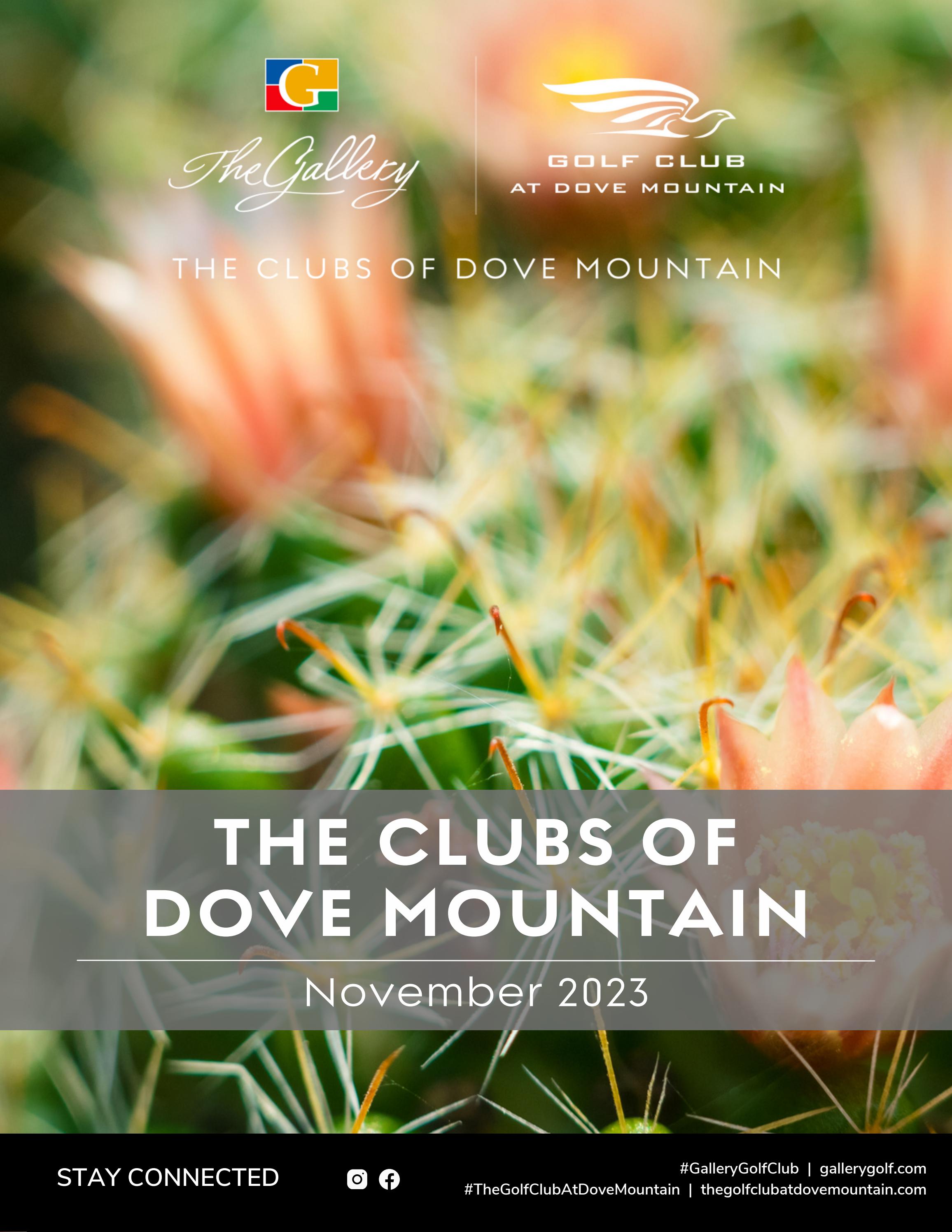 Clubs of Dove Mountain - November 2023 by The Gallery Golf Club & The ...