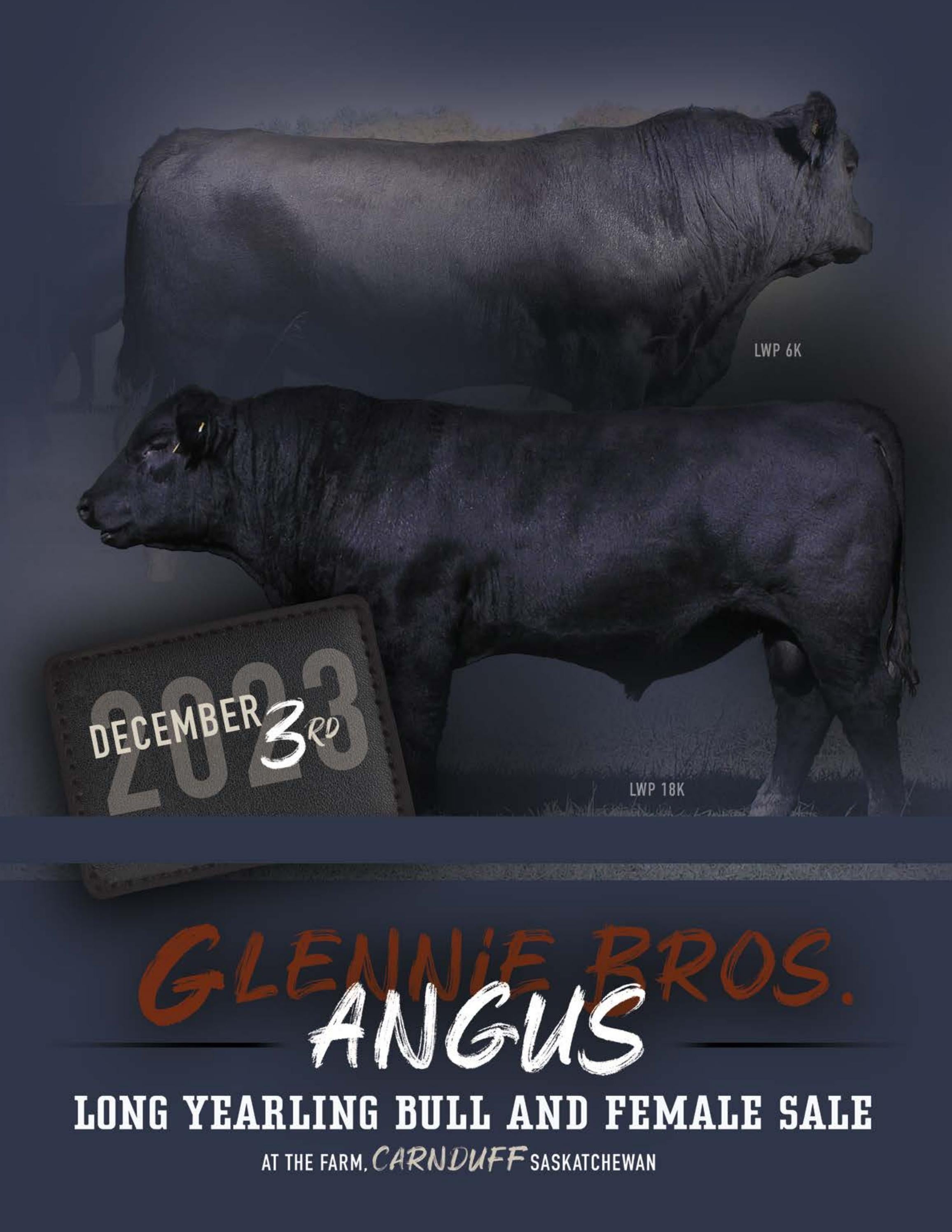 Glennie Bros Angus Production Sale by Today's Publishing Inc. - Issuu