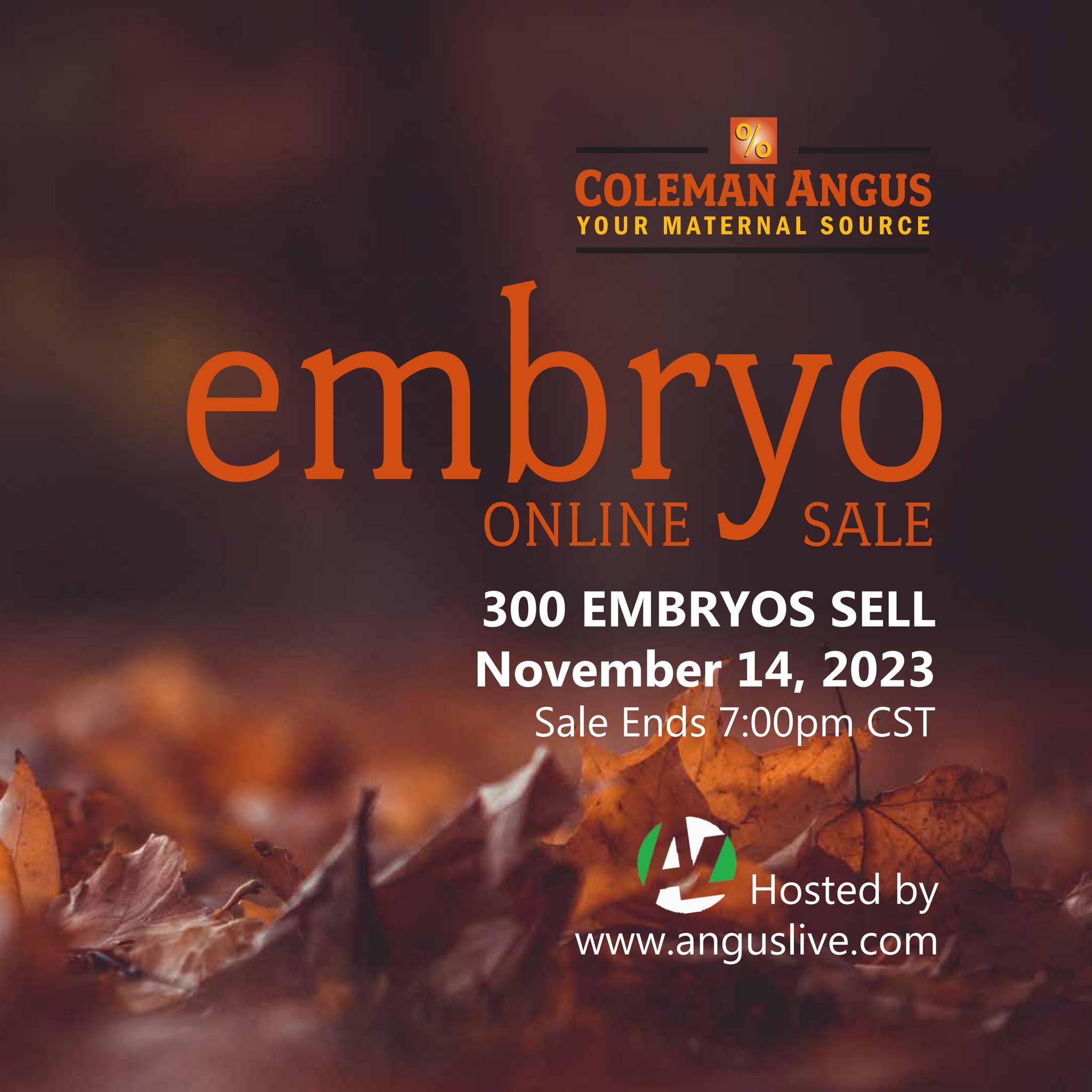 Coleman Angus Your Maternal Source November Embryo Sale 2023 by Bohrson ...