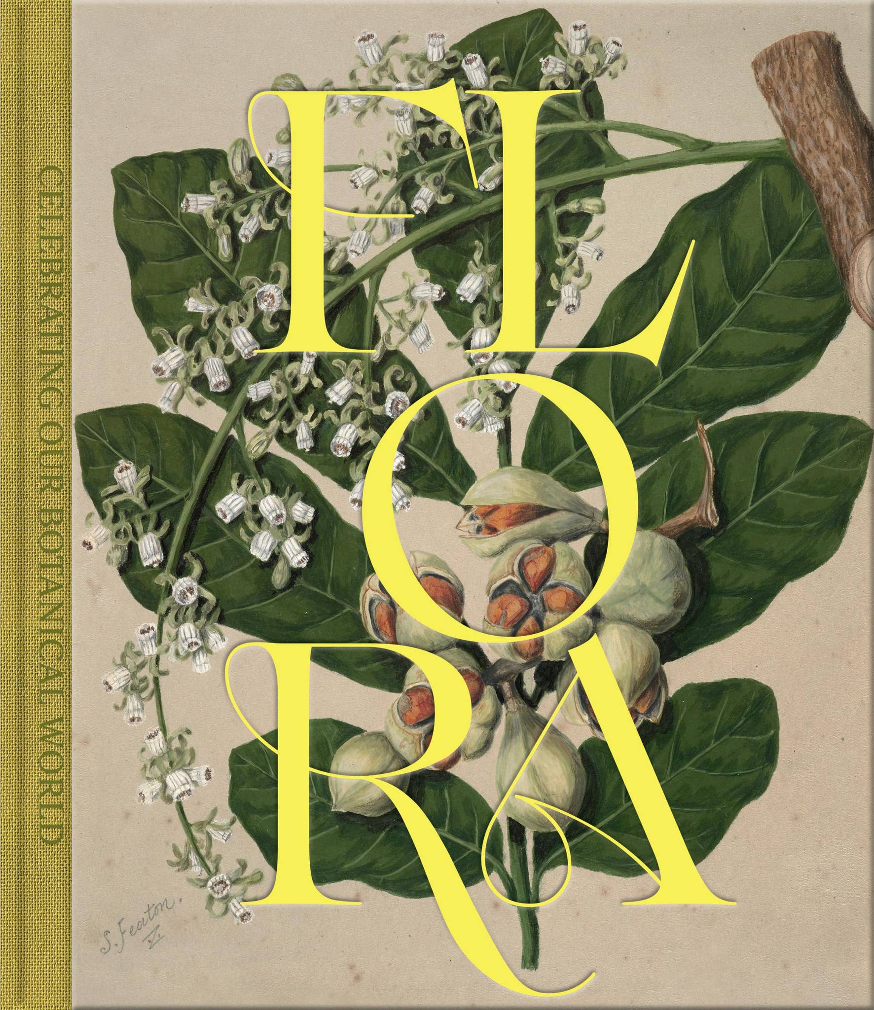 Flora look inside by TePapaPress - Issuu