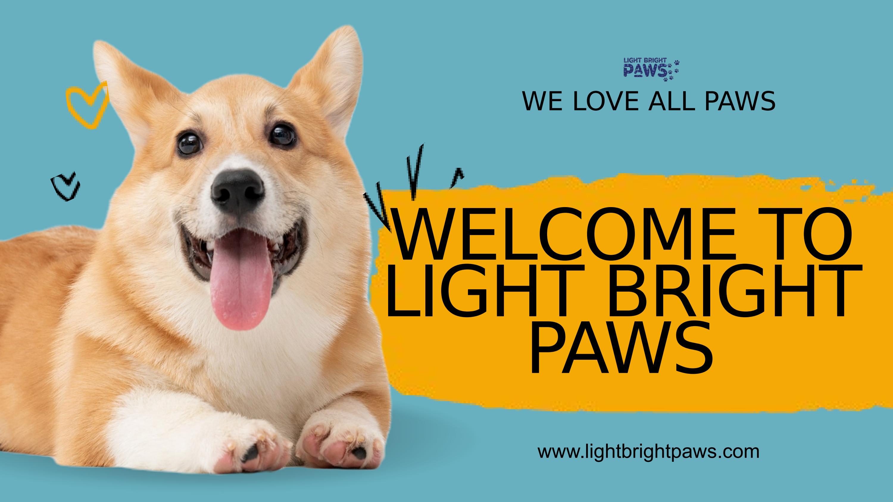 Light Paws | The Pete Store by Light Bright Paws - Issuu