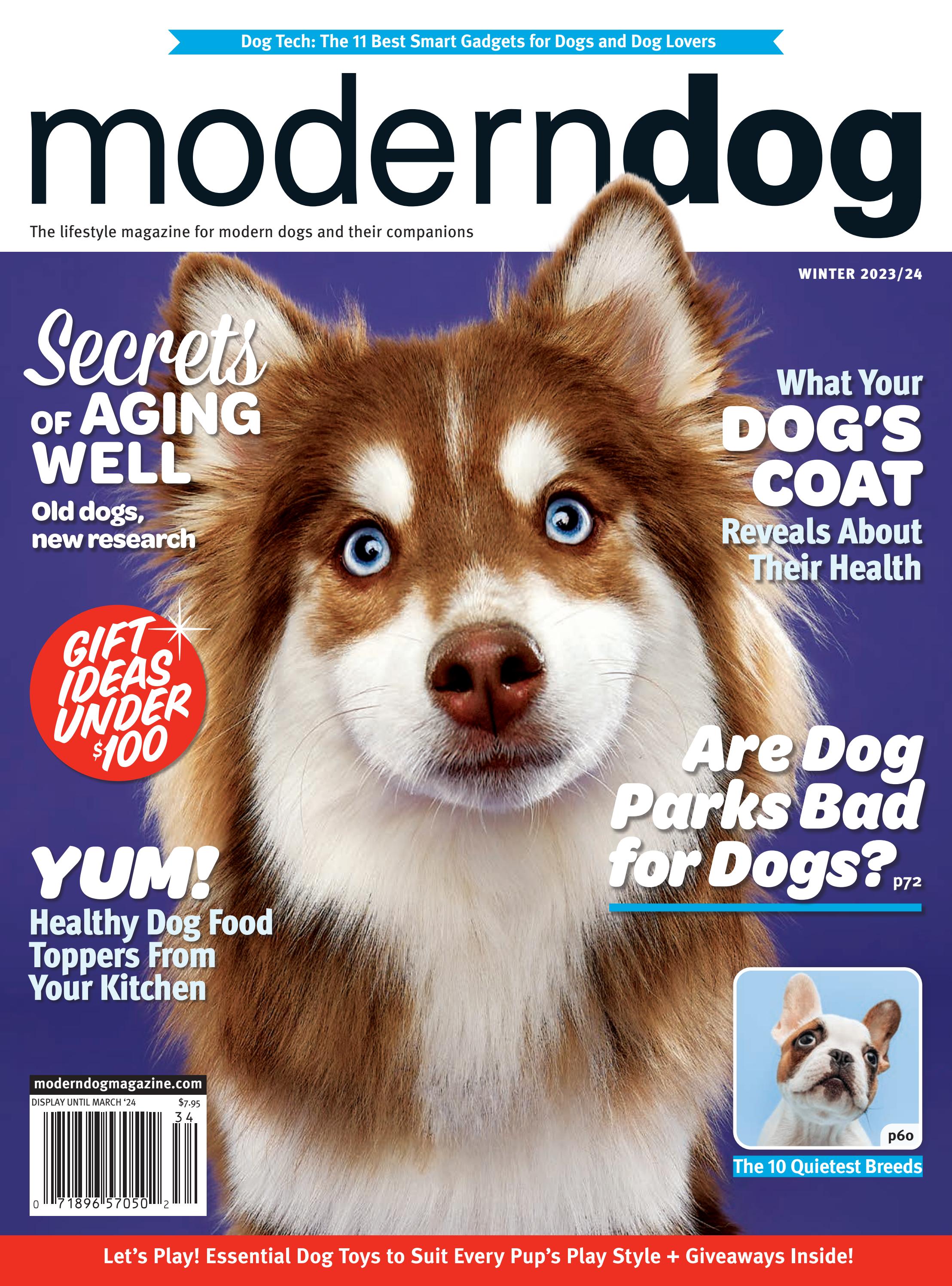 Modern Dog Winter 2023 by Modern Dog Magazine - Issuu