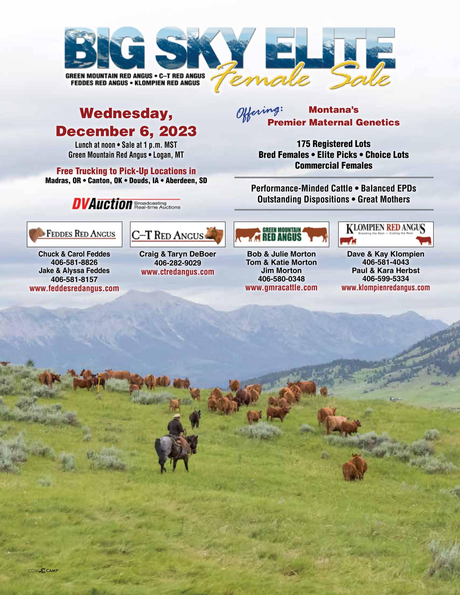 Big Sky Elite Female Sale Catalog 2023 by PeltonLivestock - Issuu
