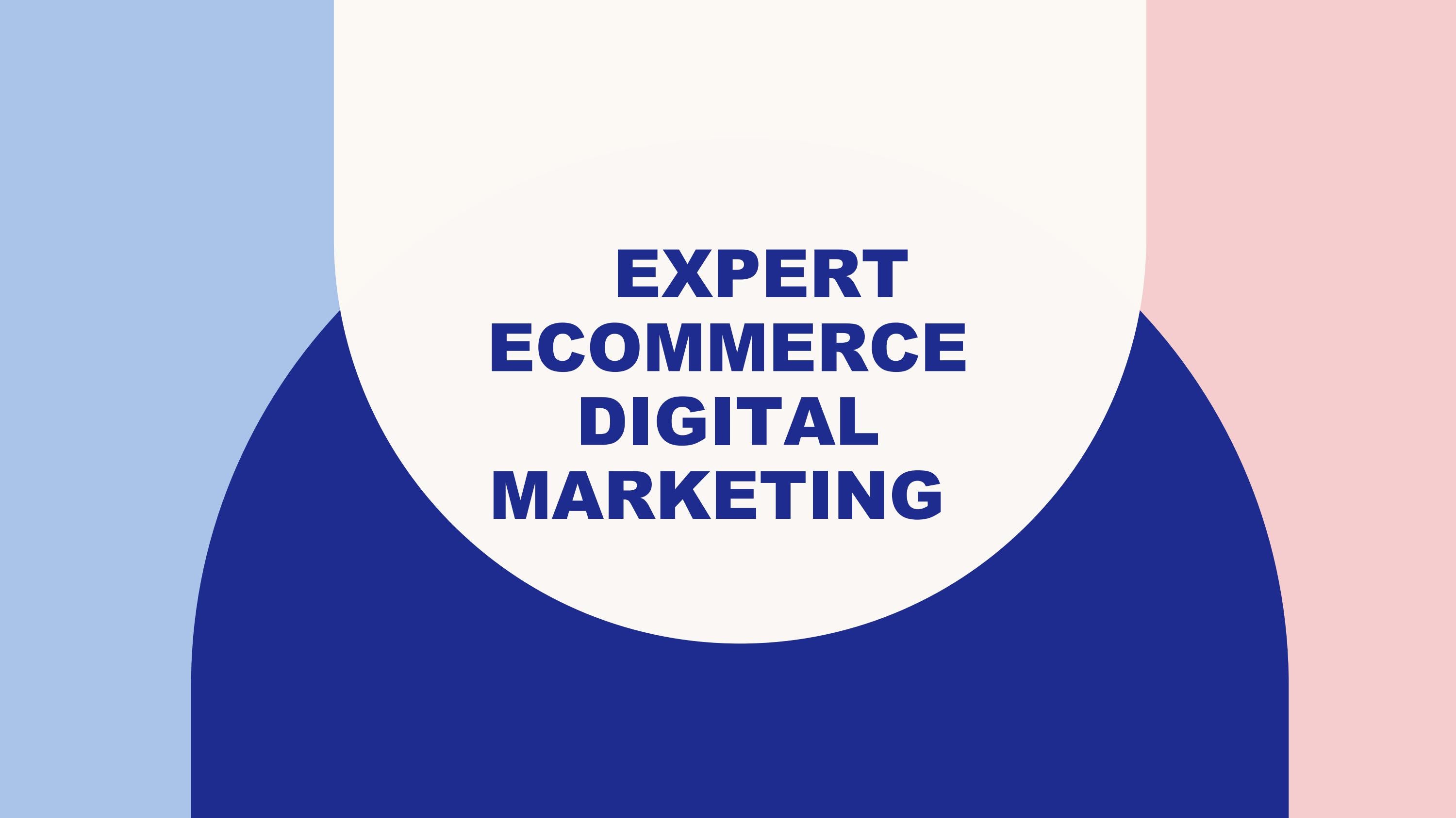 Expert Ecommerce Digital Marketing by Bivas Biswas - Issuu
