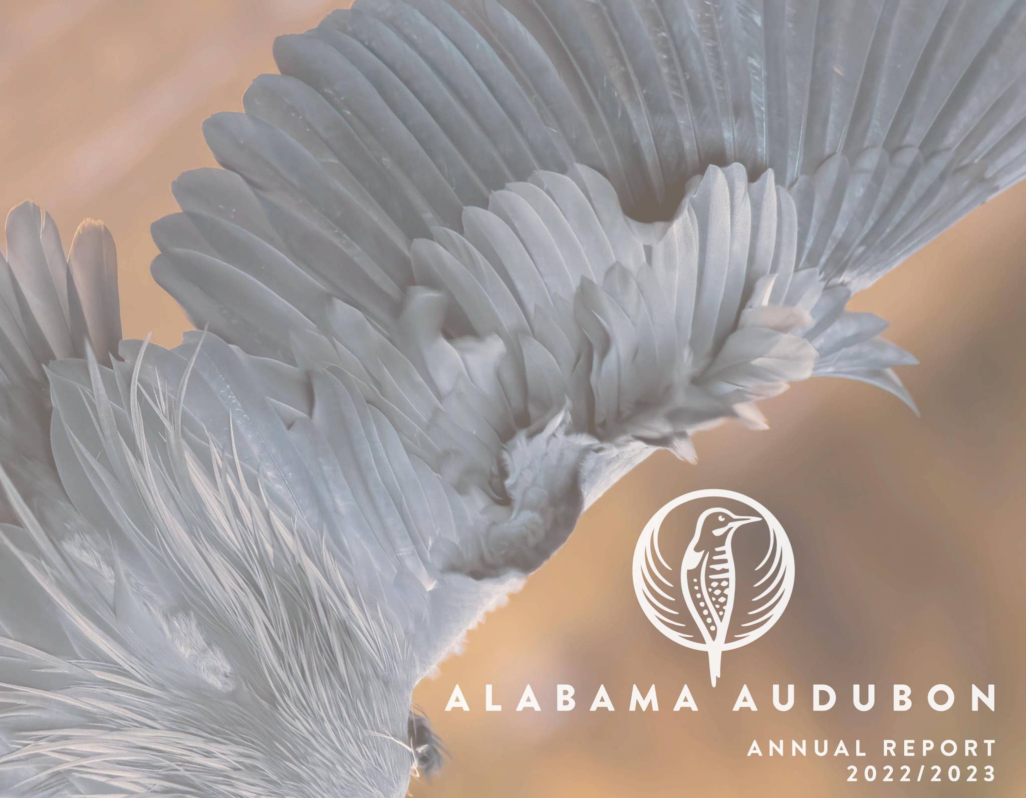 ALABAMA AUDUBON Annual Report 2022 / 2023 by alaudubon - Issuu