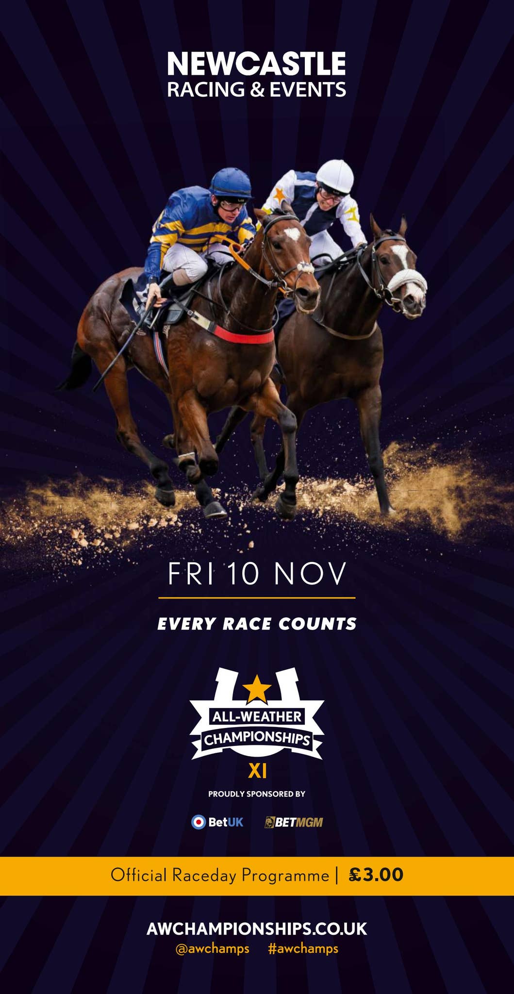 Newcastle Racecard - Friday 10th November by Arena Racing Company - Issuu