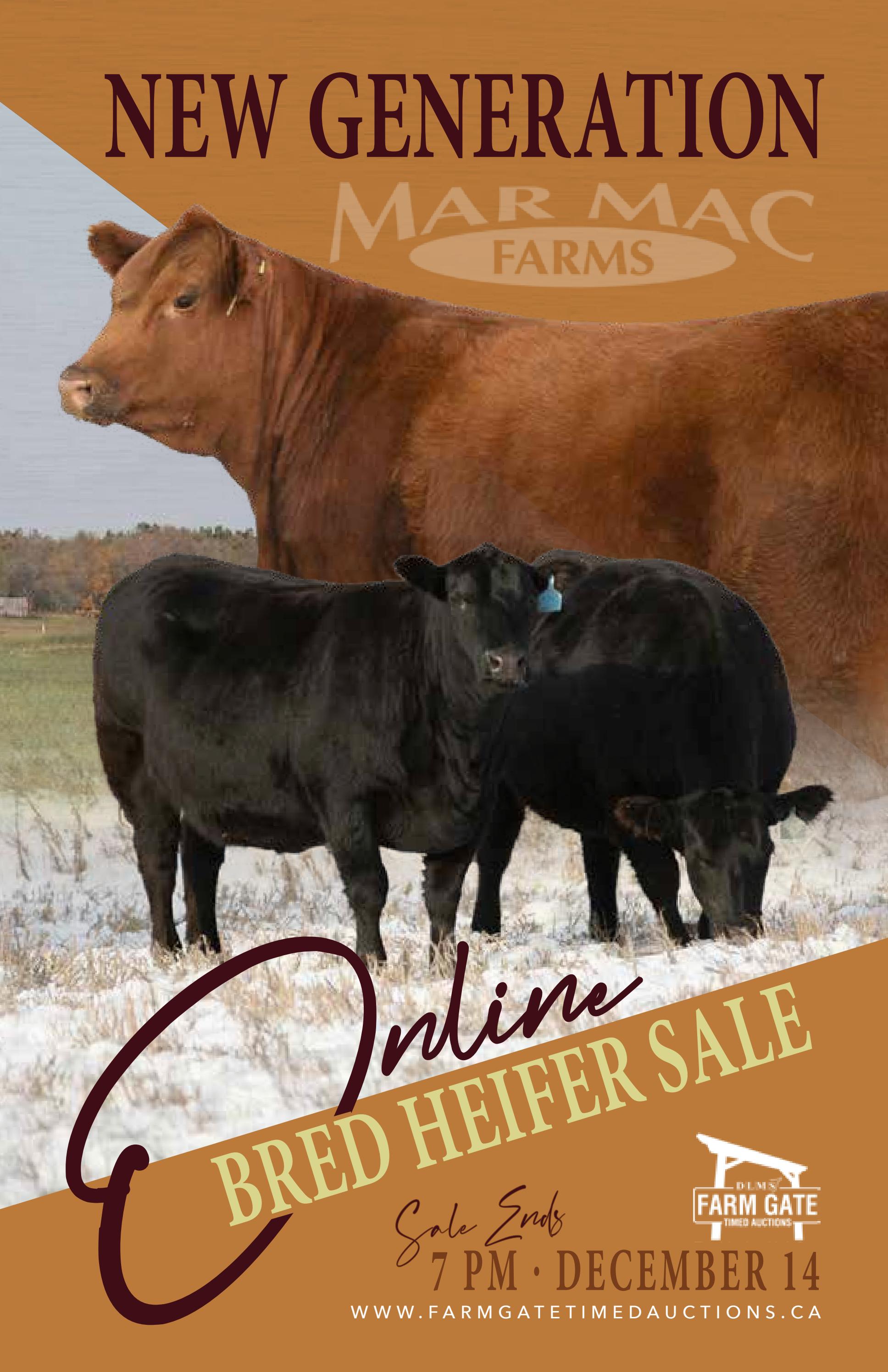 Mar Mac Farms New Generation Female Sale 2023 by Bohrson Marketing ...