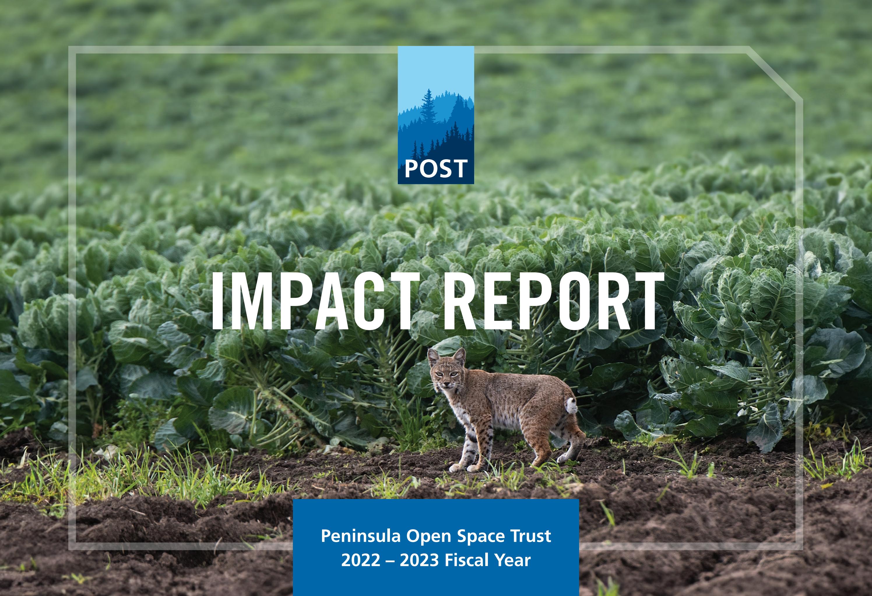 POST Impact Report: Fiscal Year 2023 by Peninsula Open Space Trust - Issuu
