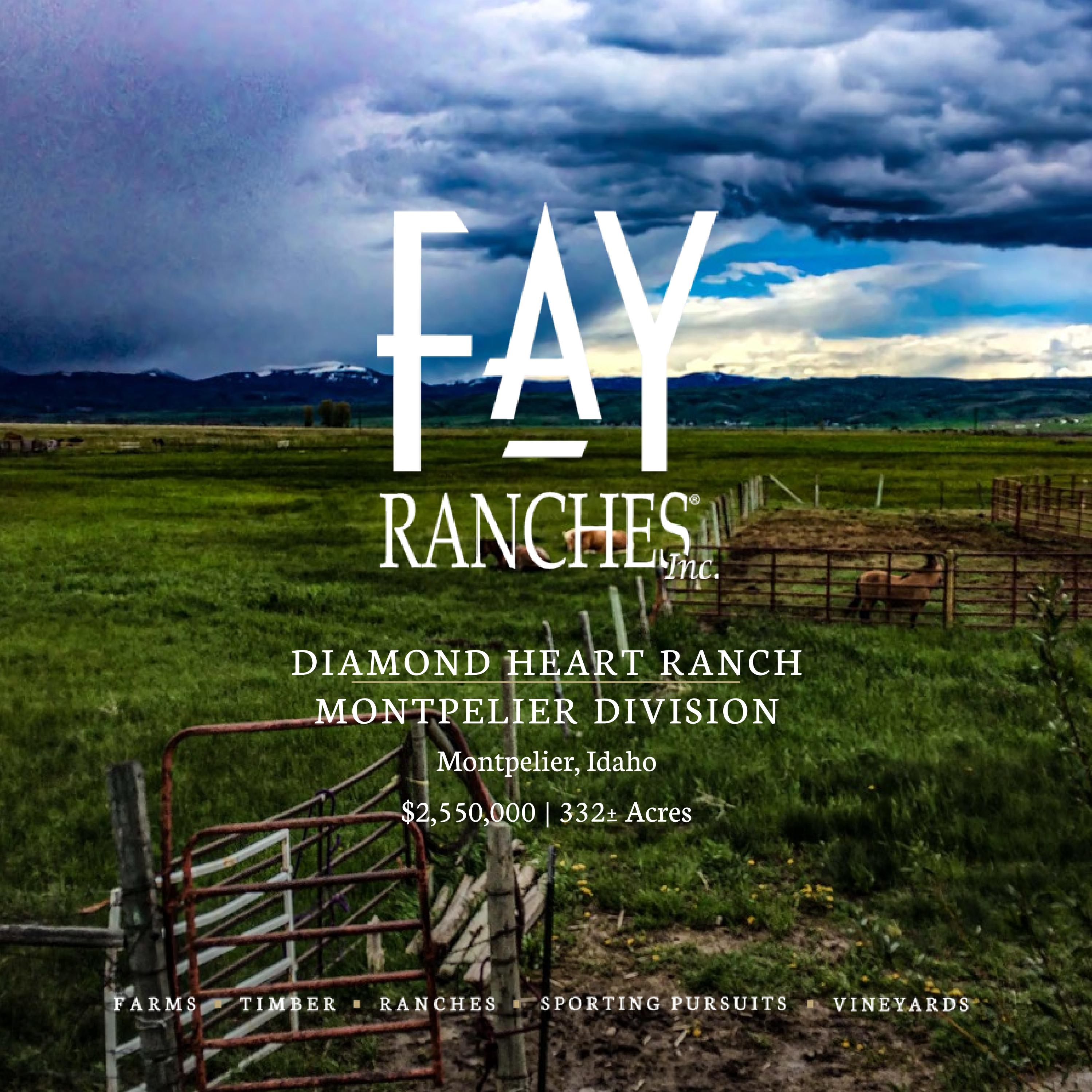 Diamond Heart Ranch | Fay Ranches by Fay Ranches - Issuu