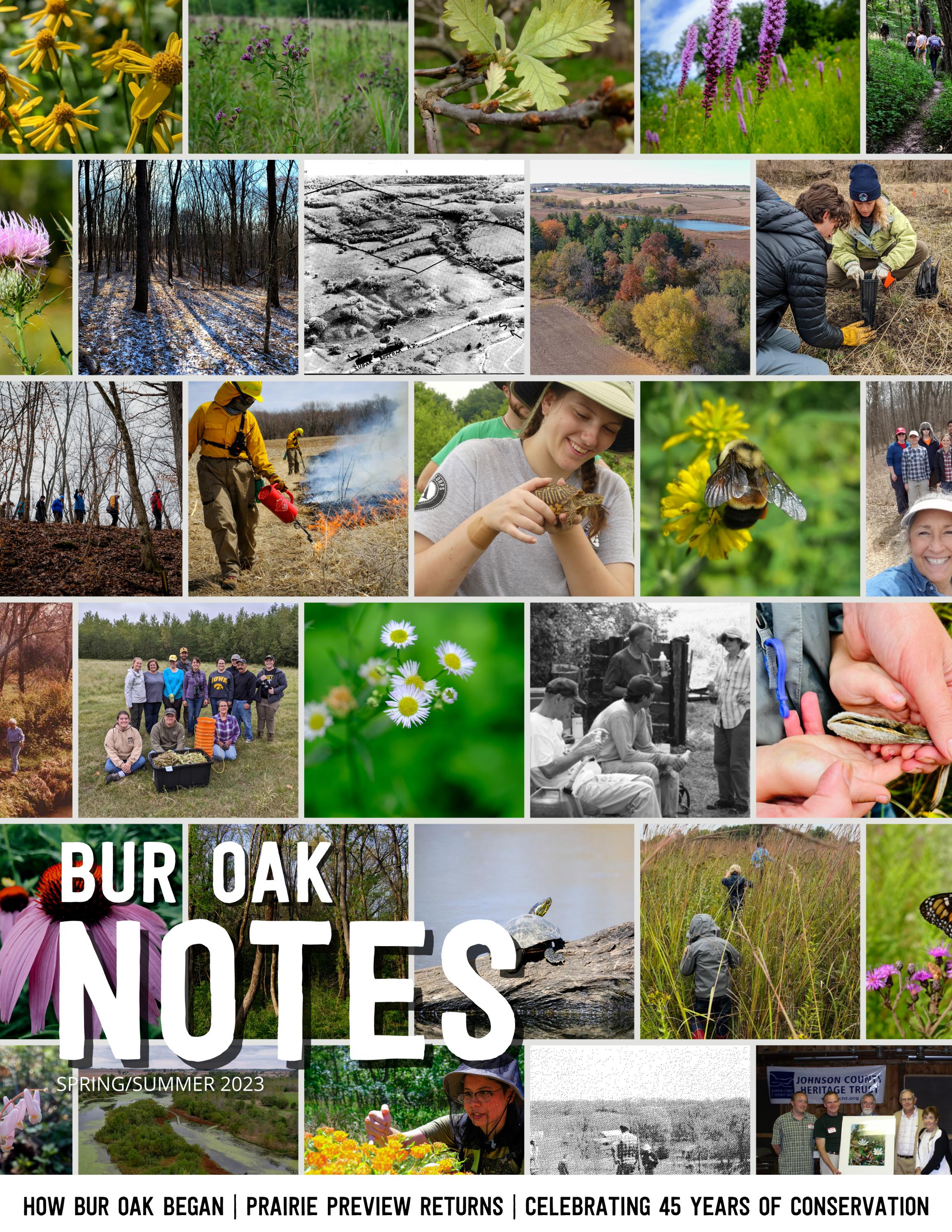 Bur Oak Notes Spring/Summer 2023 by buroaklandtrust - Issuu