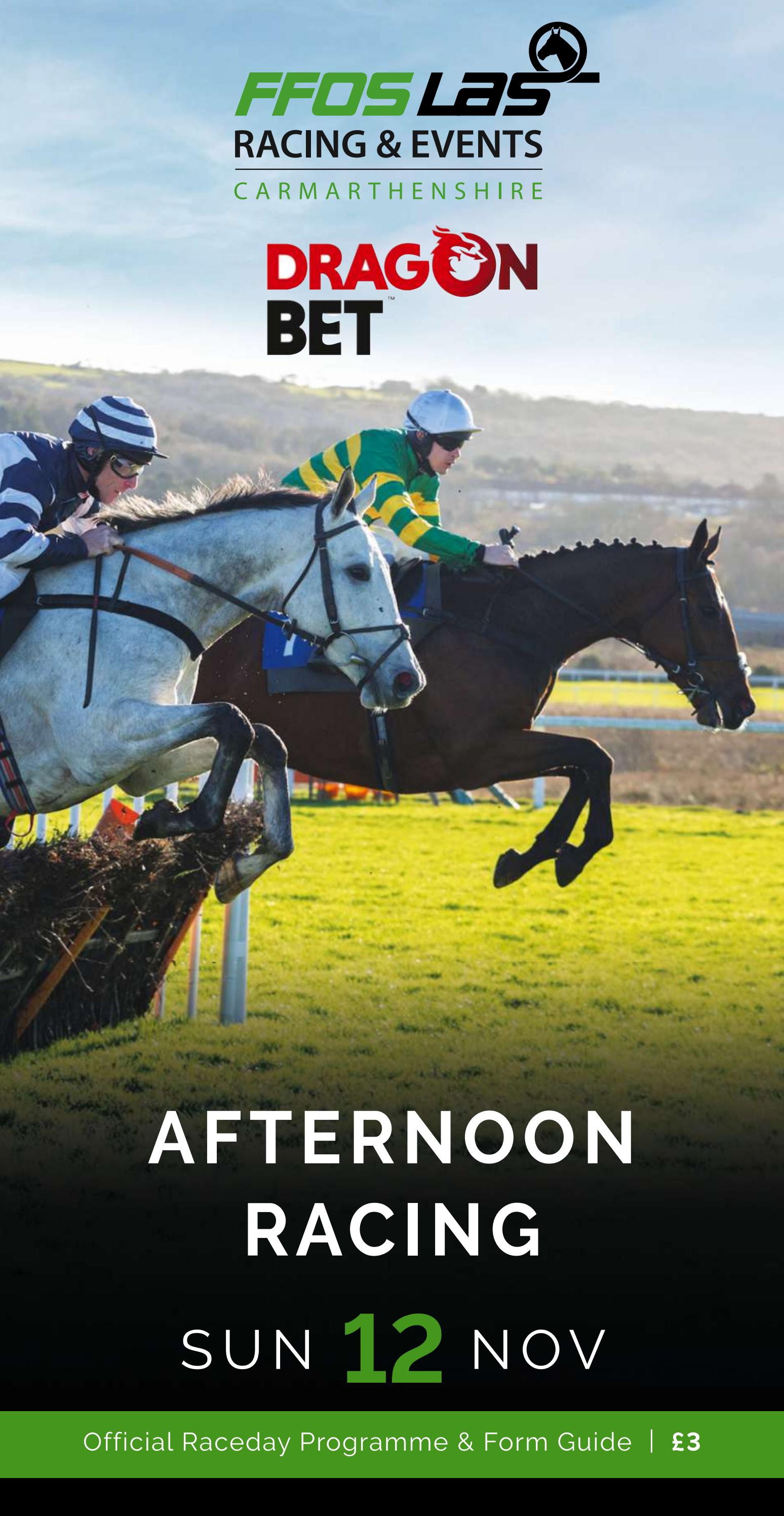 Ffos Las Racecard - Sunday 12th November by Arena Racing Company - Issuu