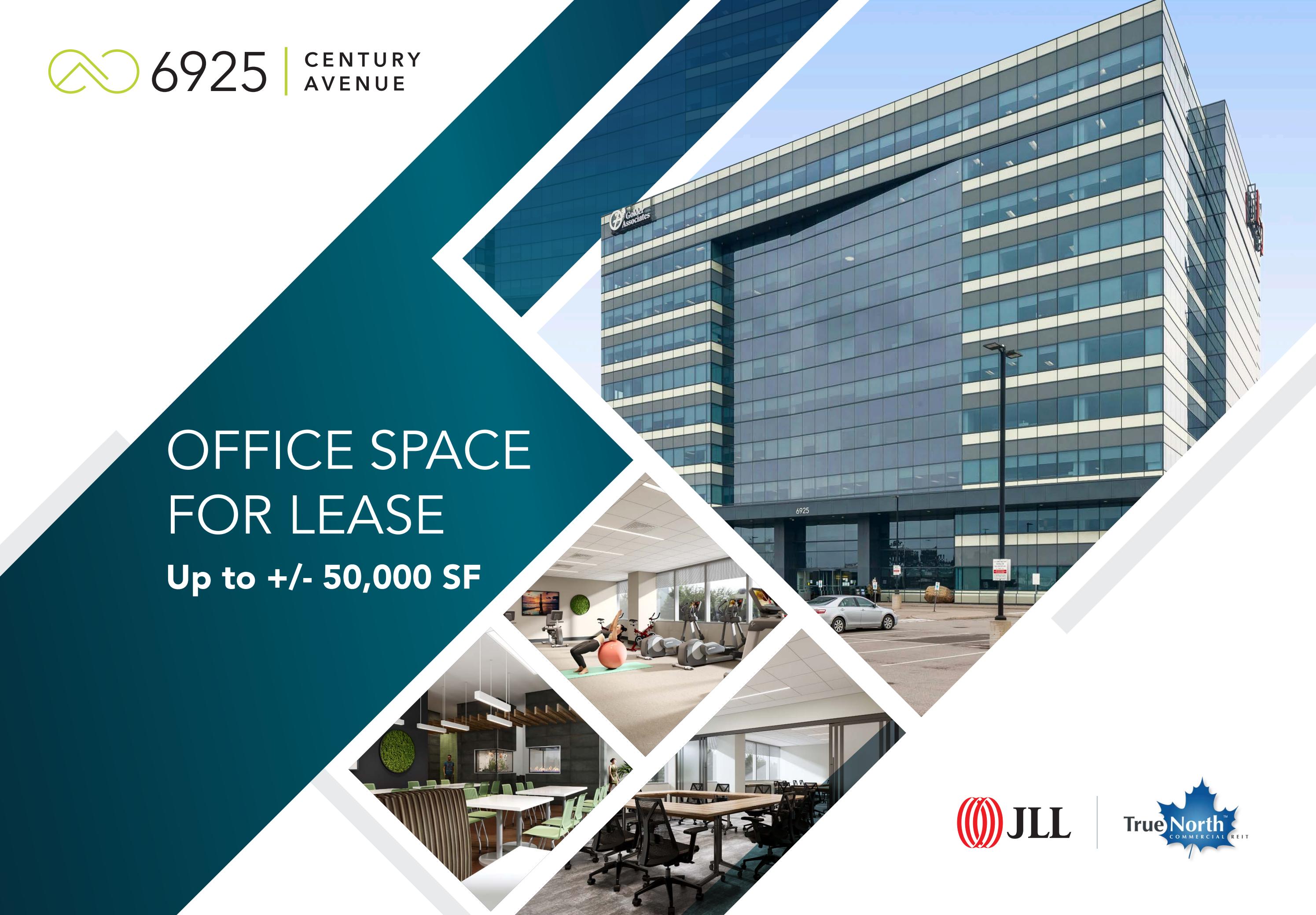 6925 Century Avenue, Mississauga by JLL - Issuu